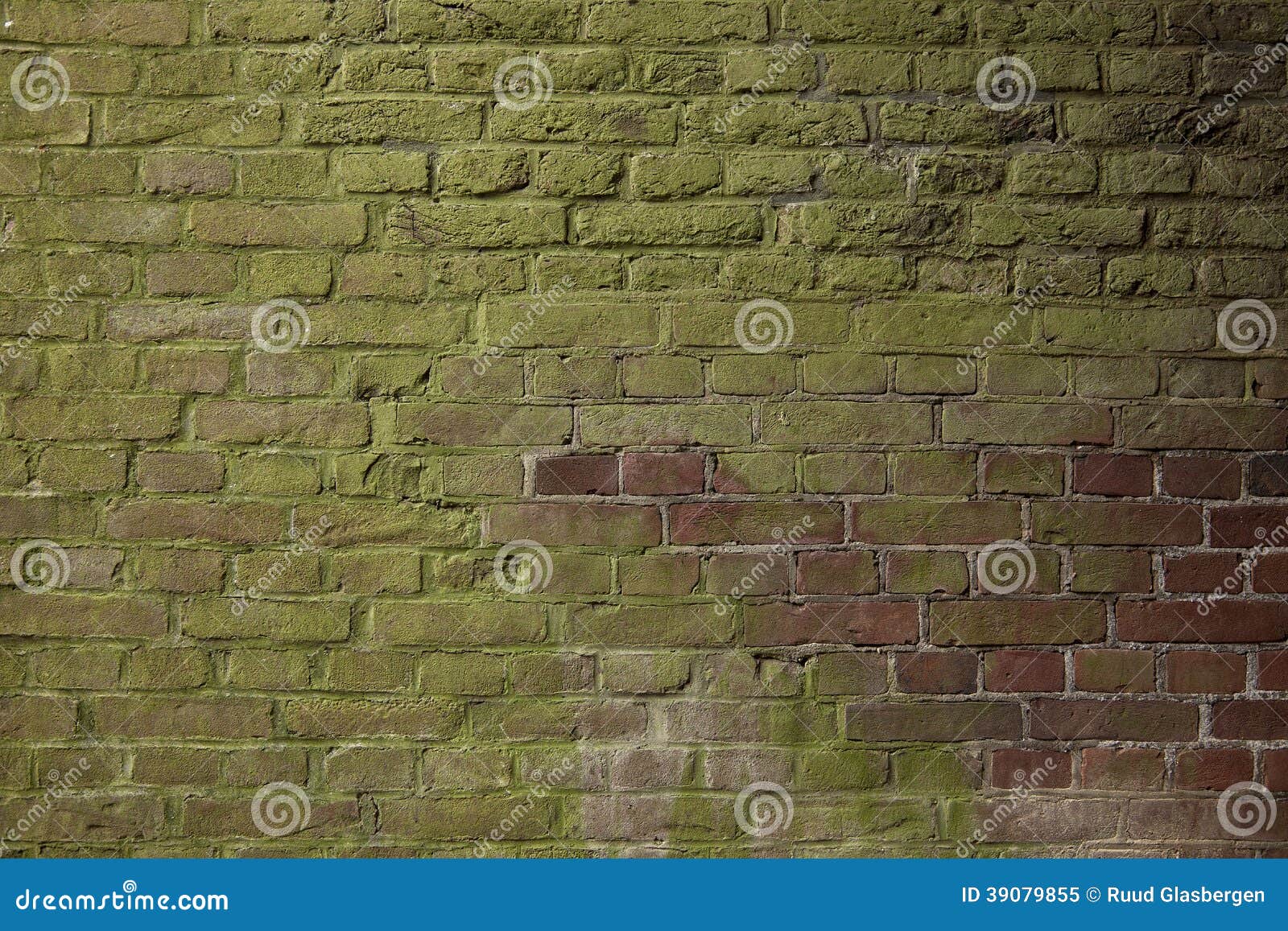 Old Weathered Brick Wall with Algae Stock Image - Image of deposits ...