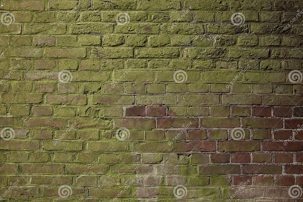 Old Weathered Brick Wall with Algae Stock Image - Image of deposits ...