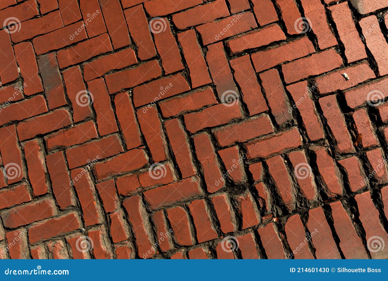 Old Weathered and Broken Chipped Brick Road from Naturally Shiny Brick ...