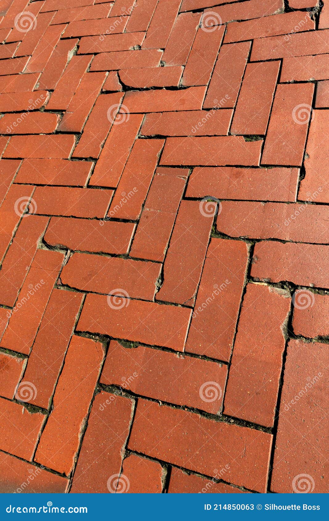 Old Weathered and Broken Chipped Brick Road from Naturally Shiny Brick ...