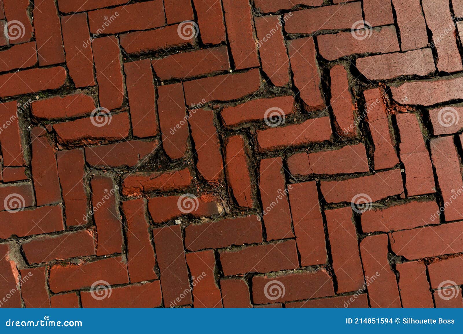 Old Weathered and Broken Chipped Brick Road from Naturally Shiny Brick ...