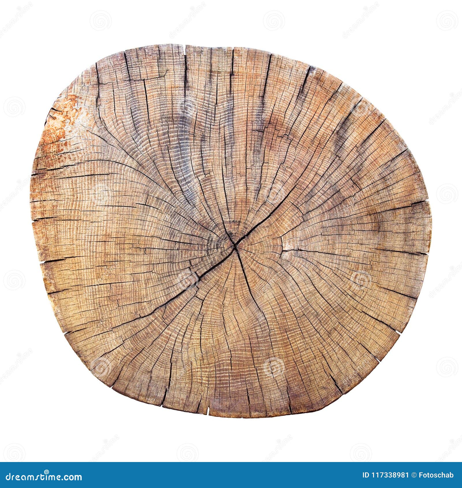 Old Weathered Cracked Tree Trunk Cross Section. Stock Image - Image of ...