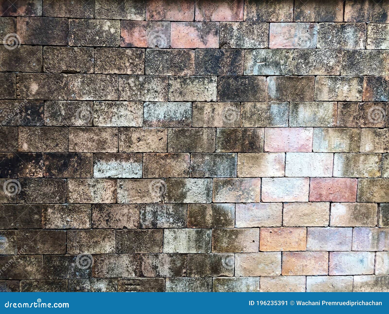 Moldy Brick Wall Background Texture Royalty-Free Stock Photography ... Moldy Brick Wall Background Texture Royalty-Free Stock Photography ...
