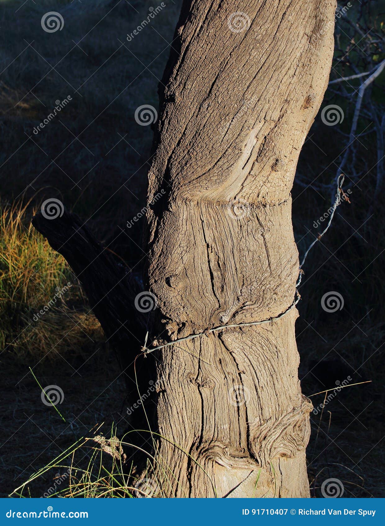 Old weathered fence post stock image. Image of stalwart - 91710407