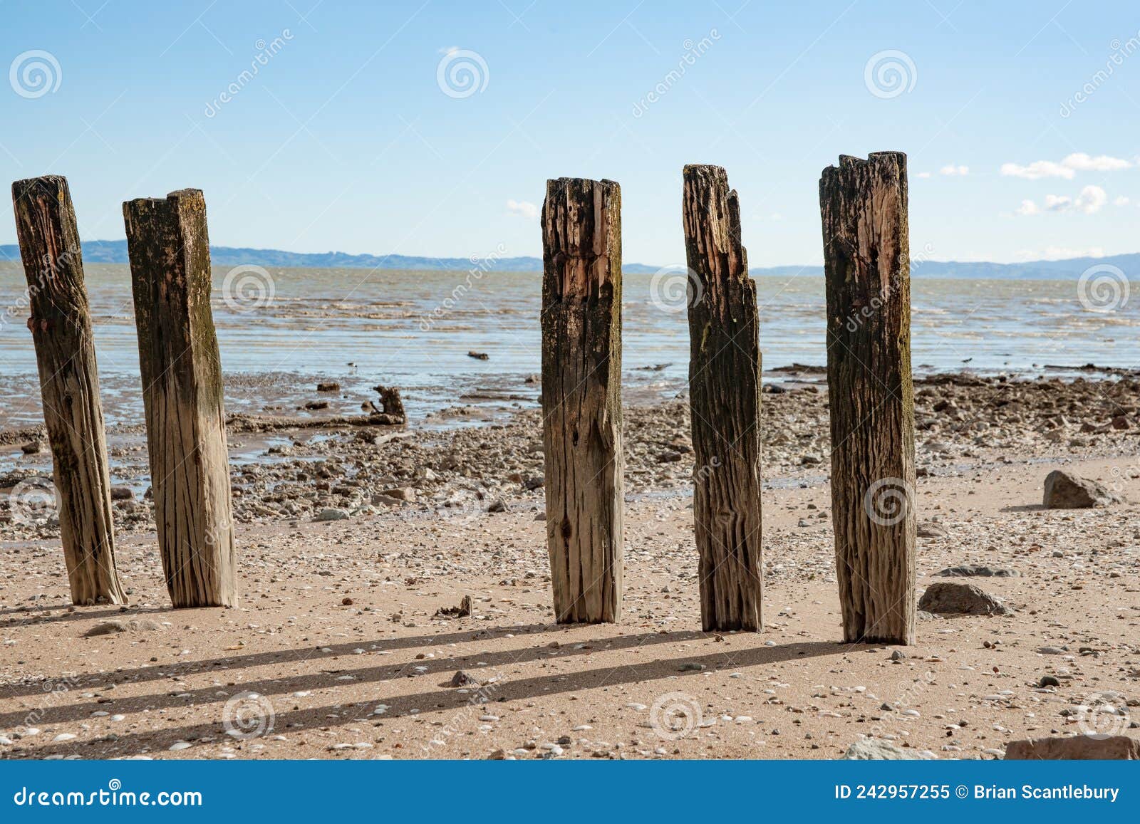 Old Weathered Jetty Posts Standing in Row on Beach Casting Shadow on ...