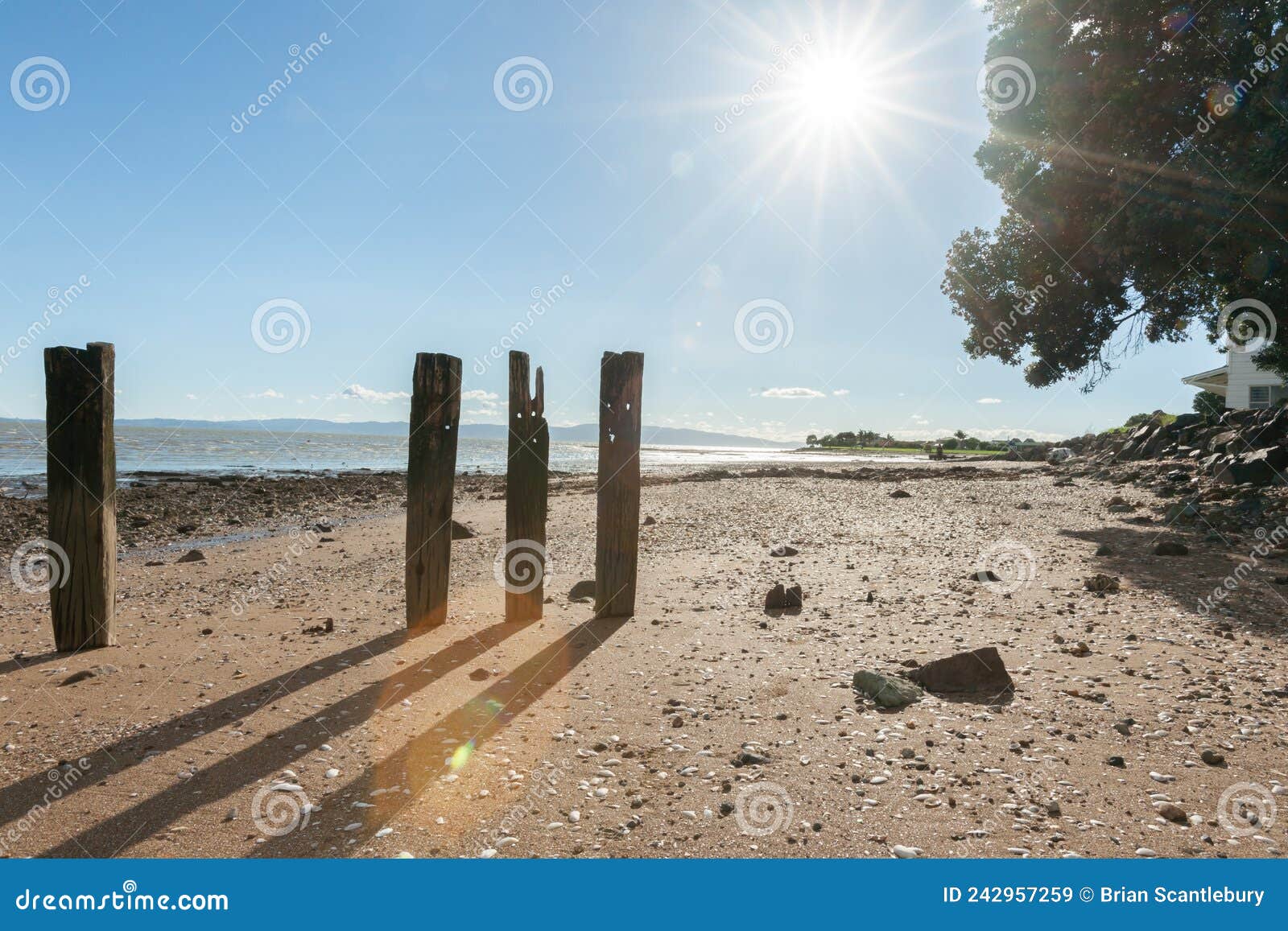 Old Weathered Jetty Posts Standing in Row on Beach Casting Shadow on ...