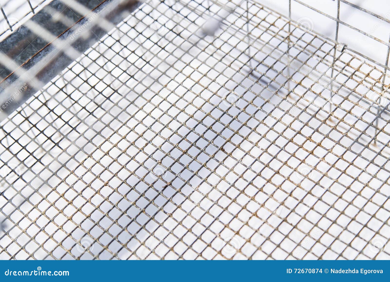 Old and Weathered Metal Net with Rust Stock Photo - Image of forbidden ...