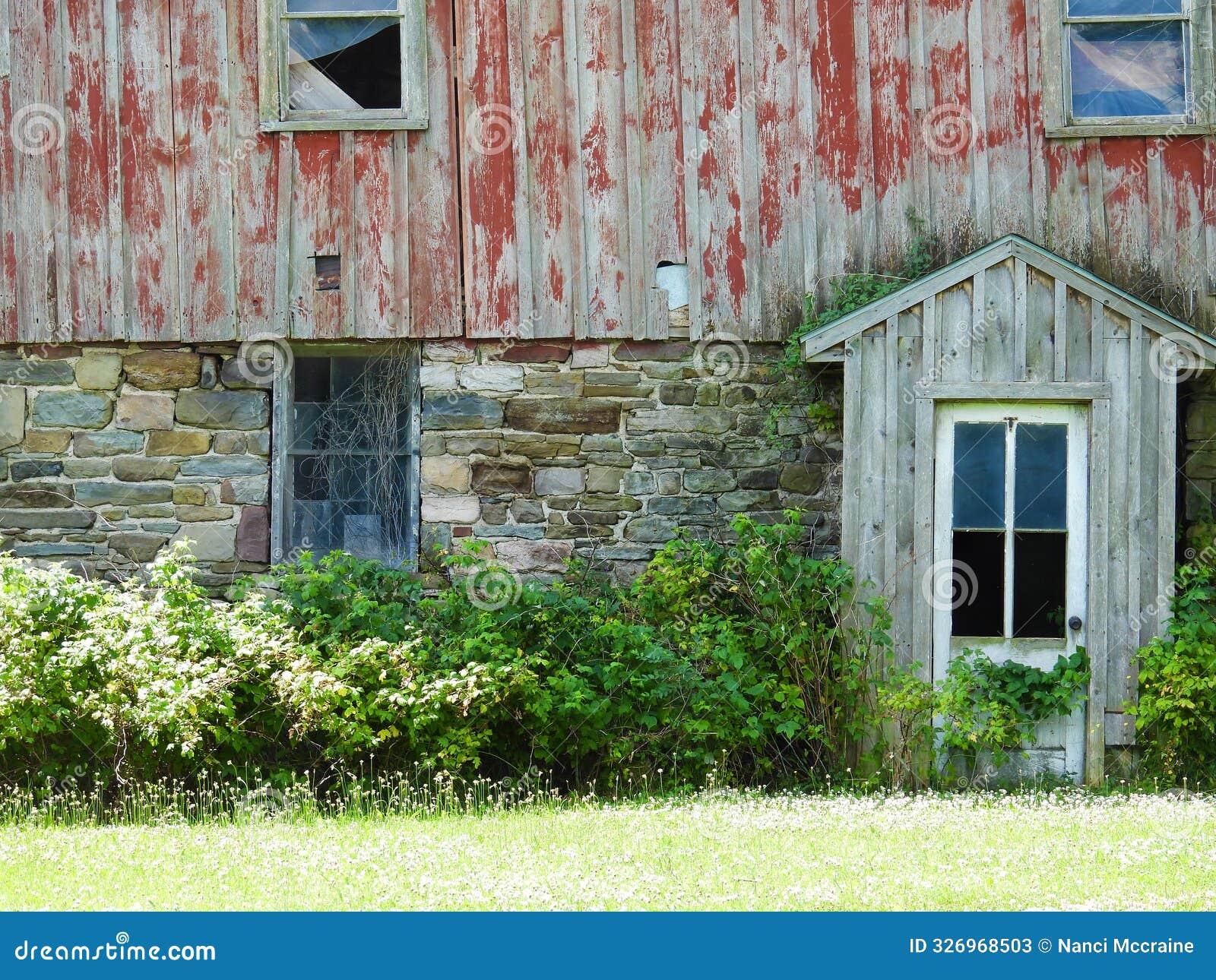 Historic Weathered Old Red Livestock Barn with Fieldstone Foundation ...