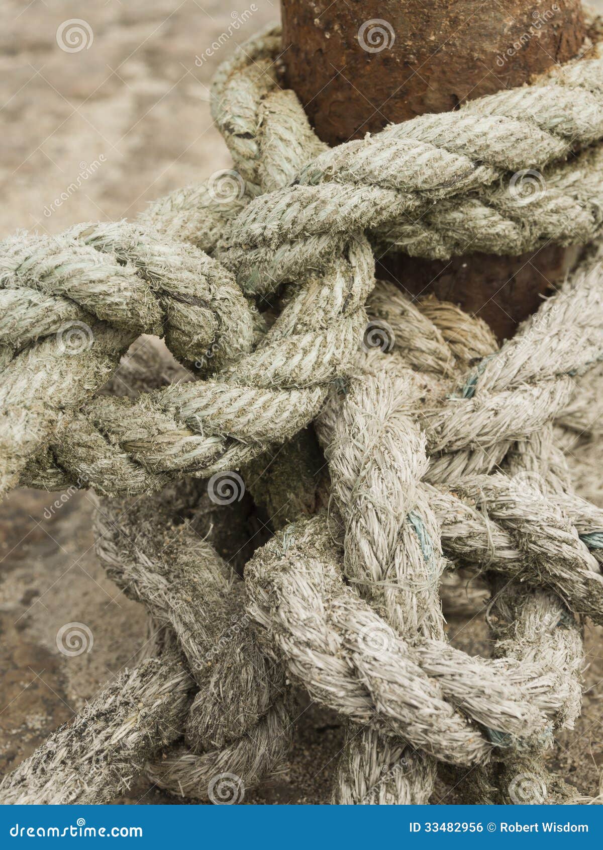 Old weathered ropes stock photo. Image of fishing, seaside - 33482956