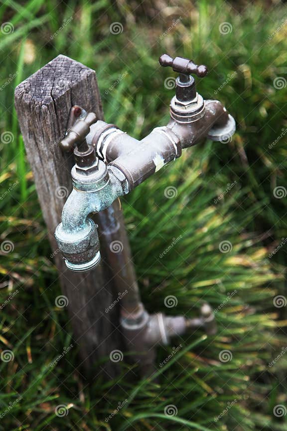 Two Water Taps Using a Single Pipe Stock Photo - Image of flora, flow ...