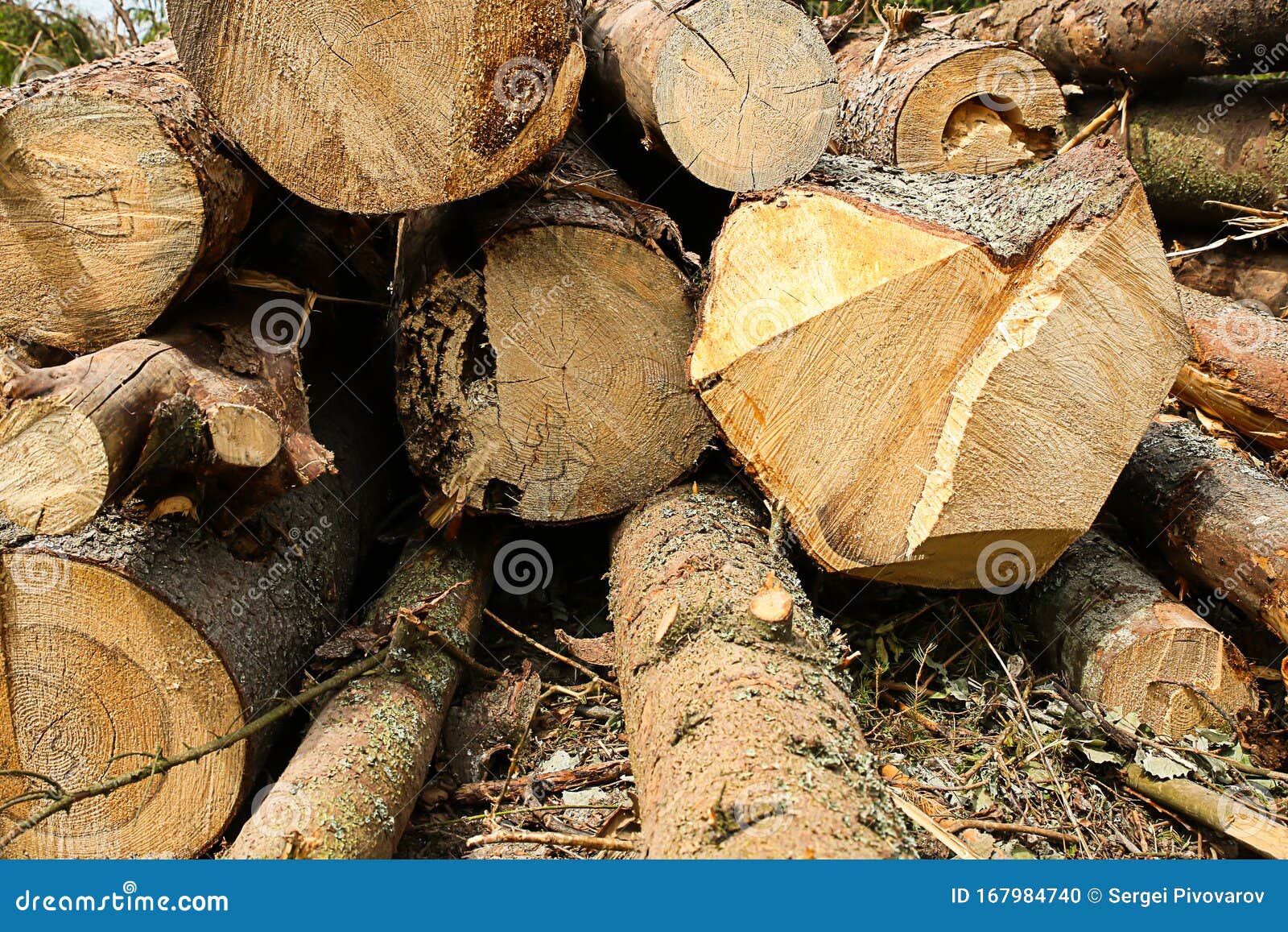 Old and Weathered Uneven Stack End of Logs Felled Pattern Stock Photo ...