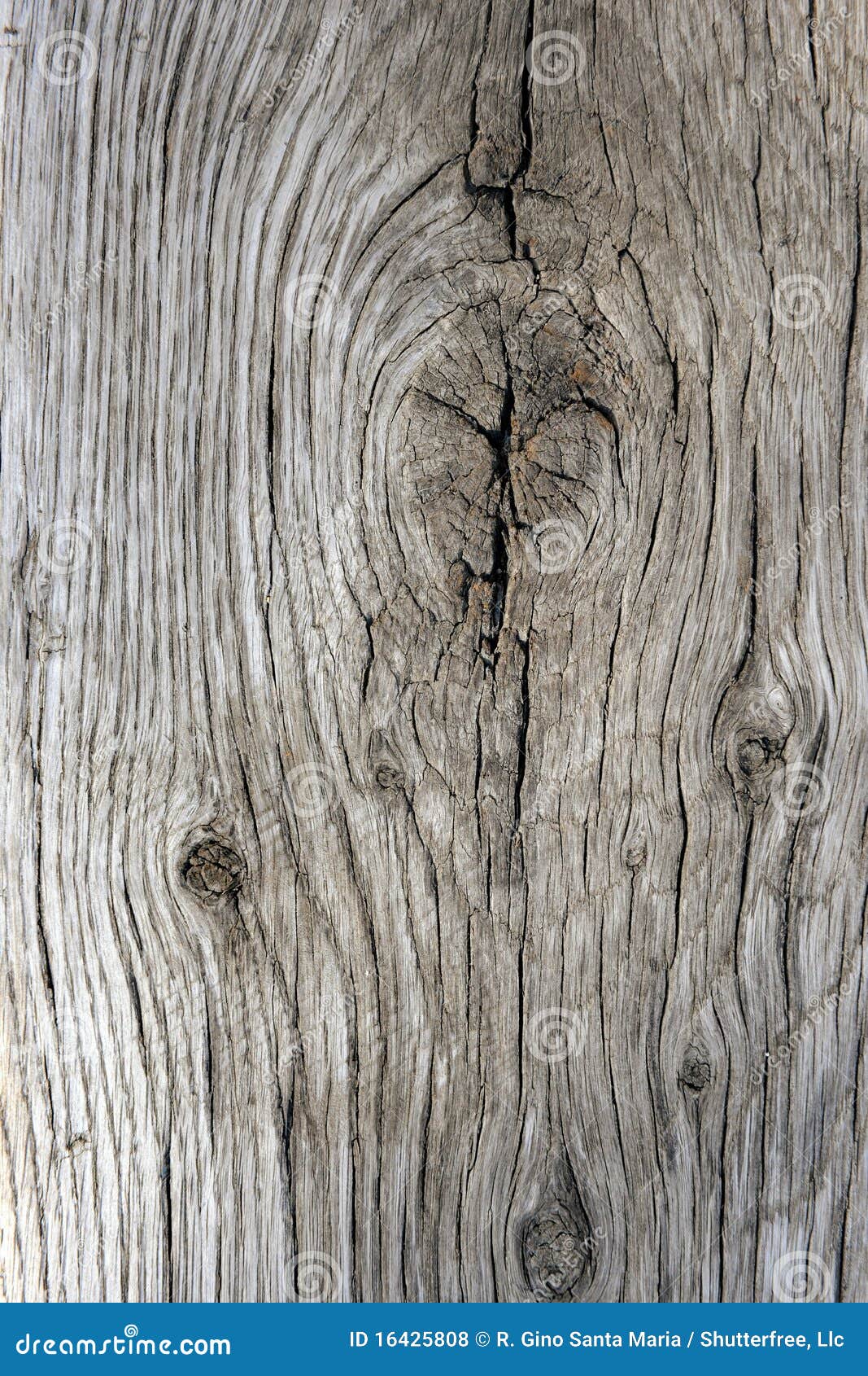 Old Weathered Wood stock photo. Image of dirty, panel - 16425808