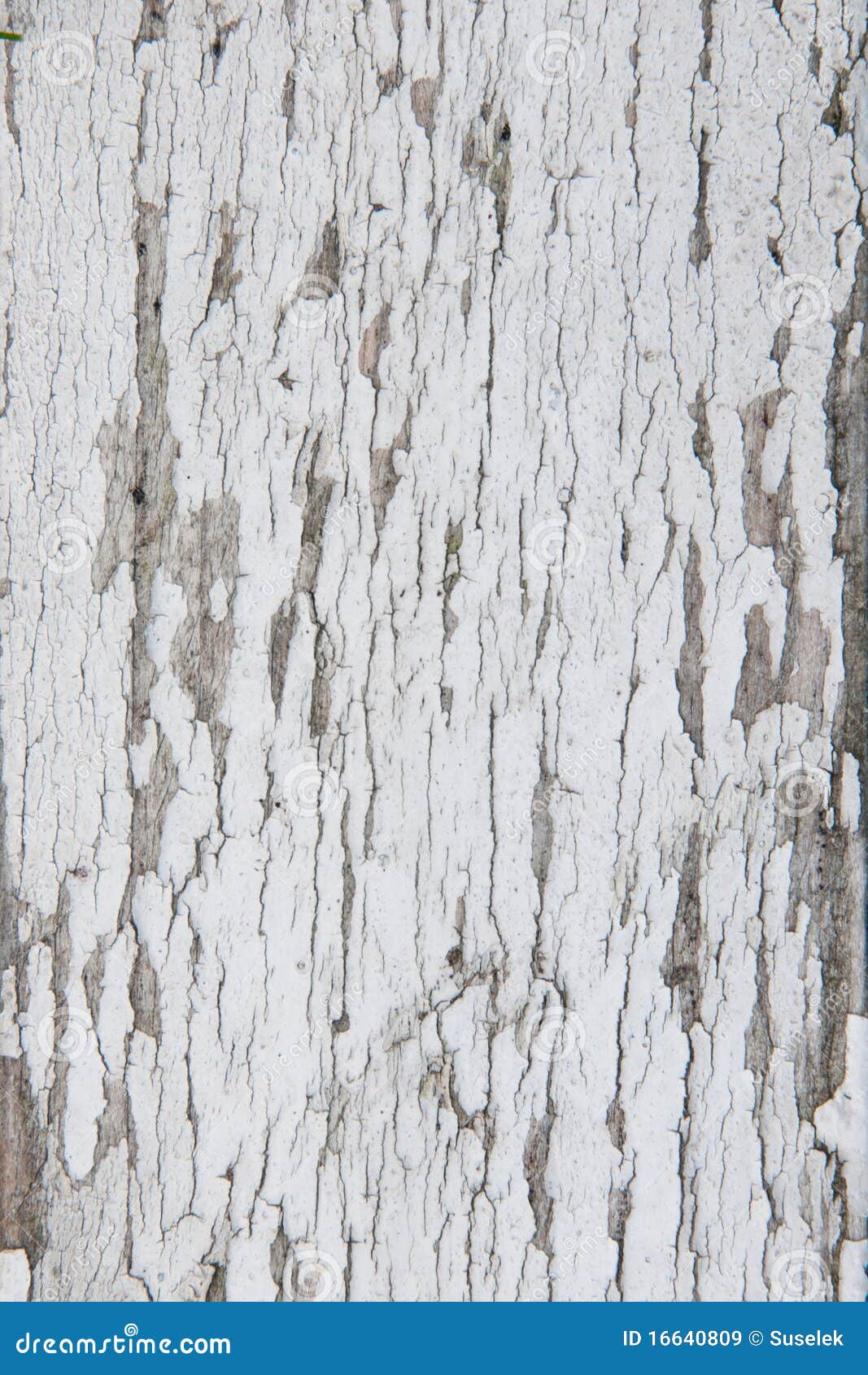 Old Weathered Wood Board Texture Stock Image - Image of texture, rough ...