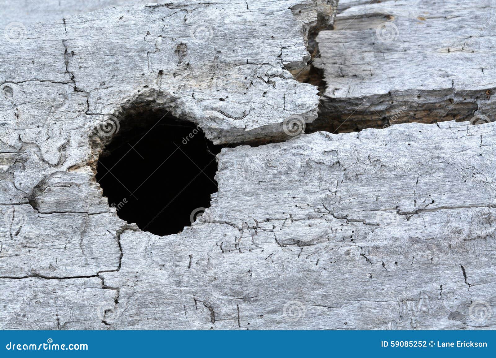 Old Weathered Wood Log with Hole Stock Photo - Image of background ...