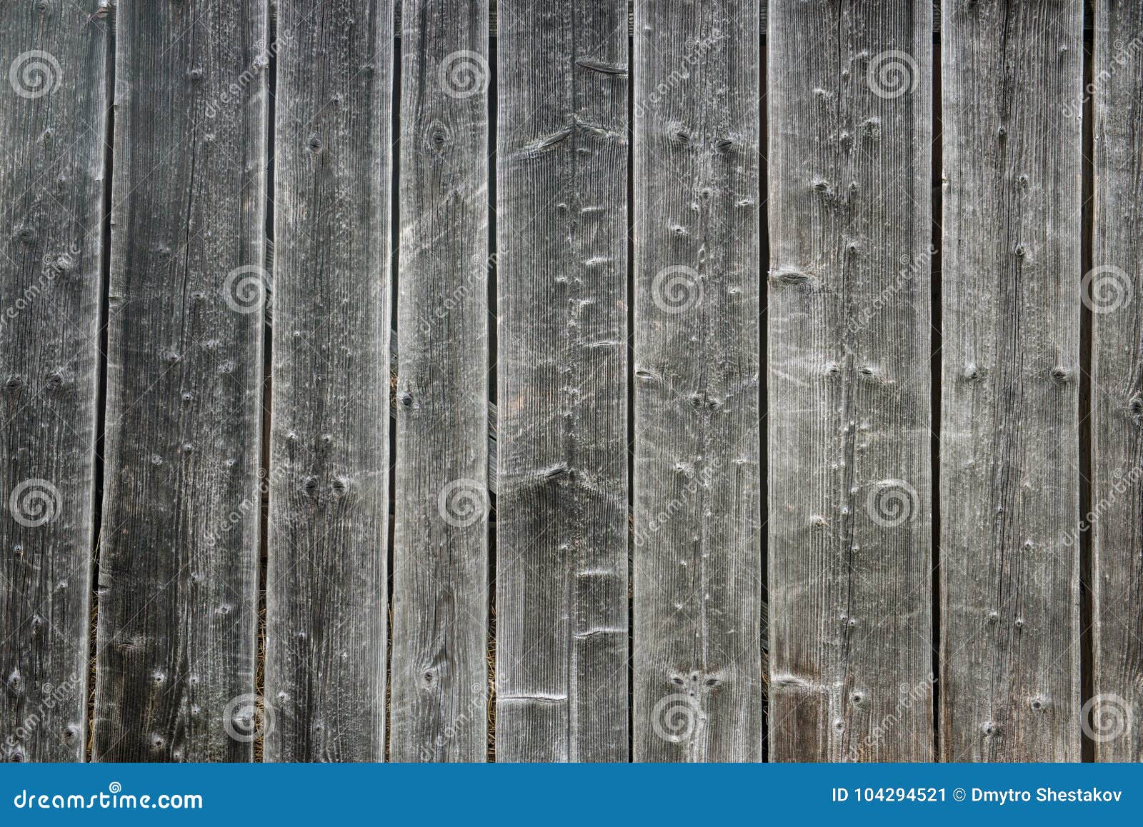 Old weathered wood planks. stock image. Image of moss - 104294521