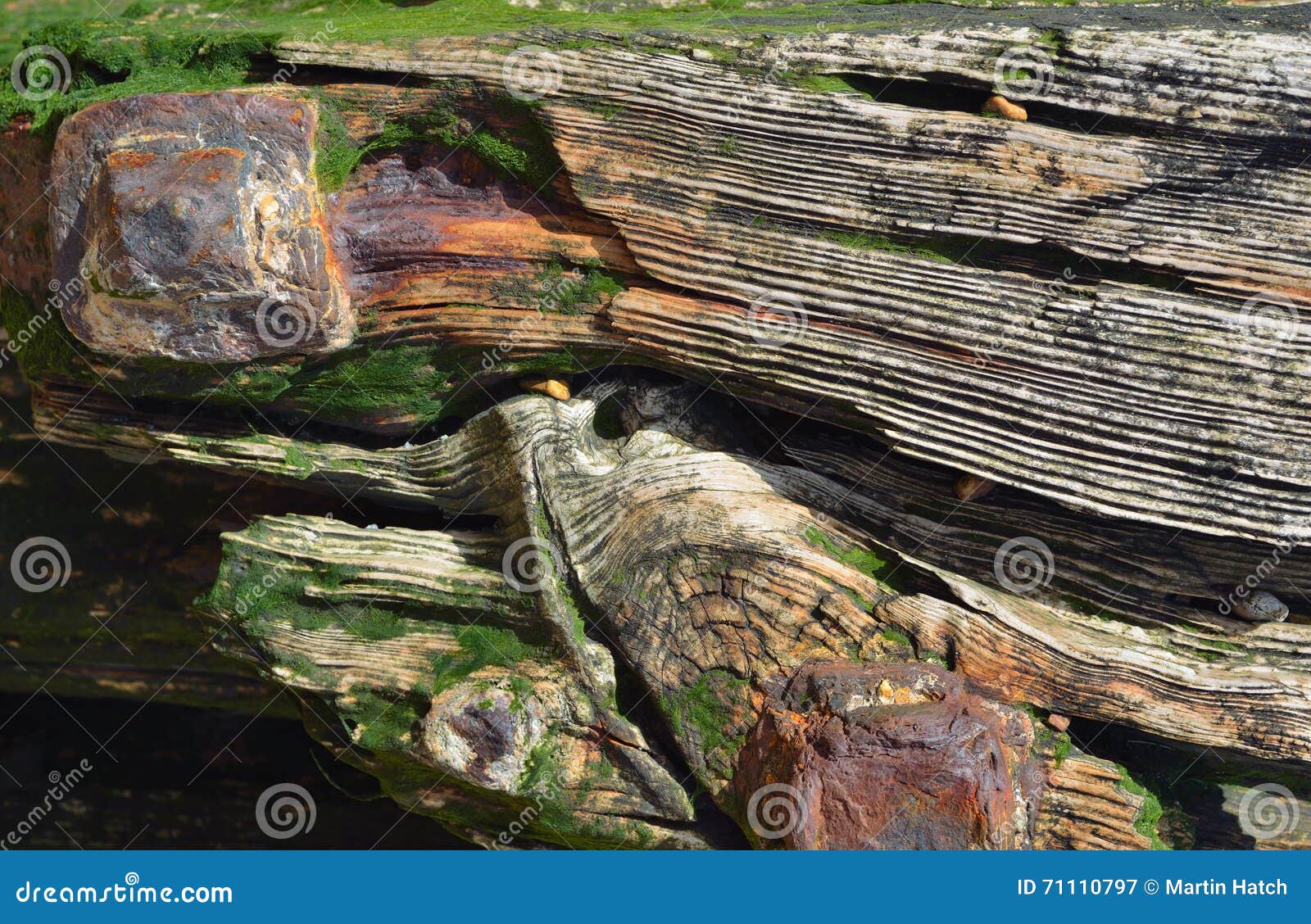 Rusting Weathered Corrugated Iron Wall Ideal As Background Royalty-Free ...