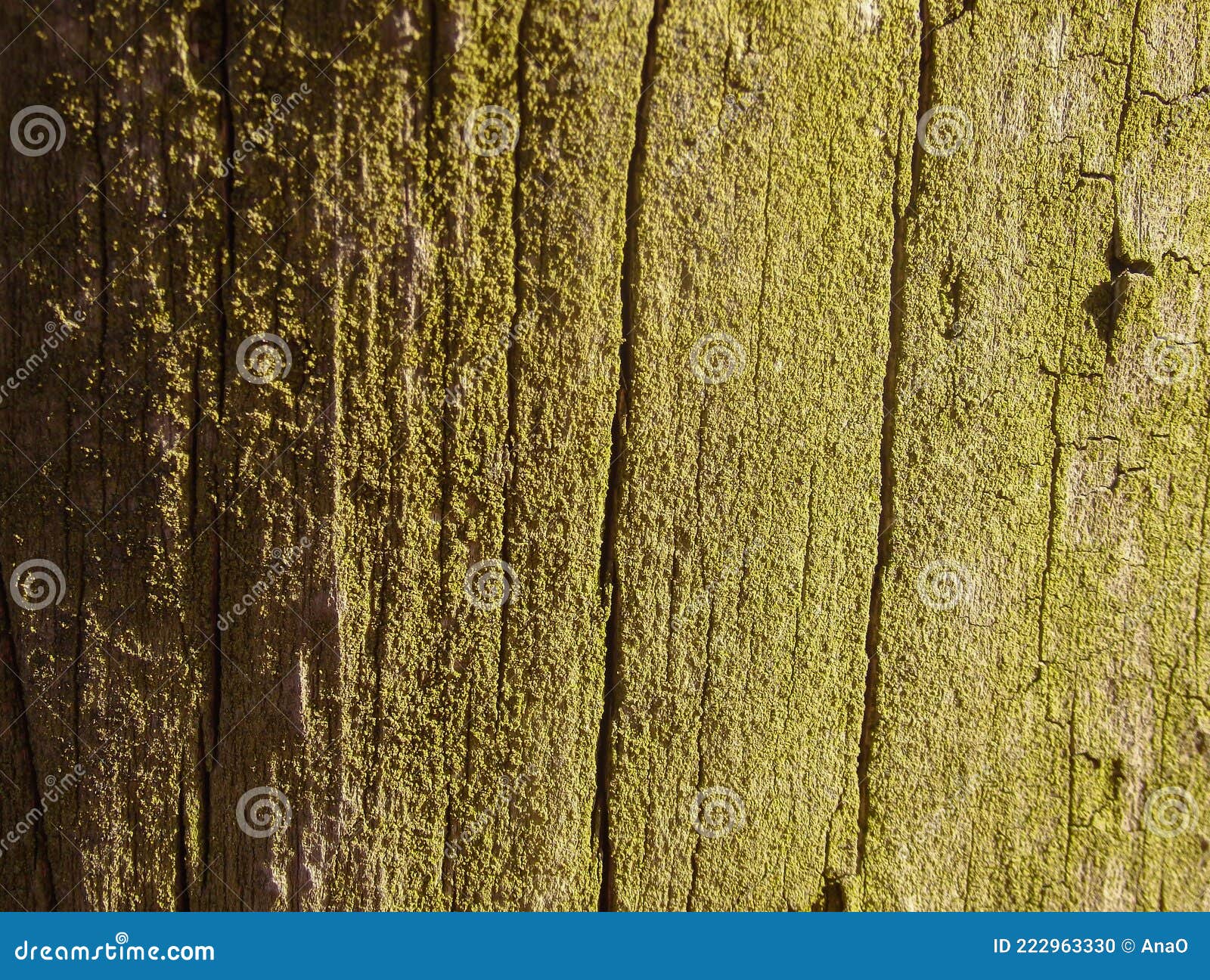Old Weathered Wood Texture Natural Background Stock Photo - Image of ...