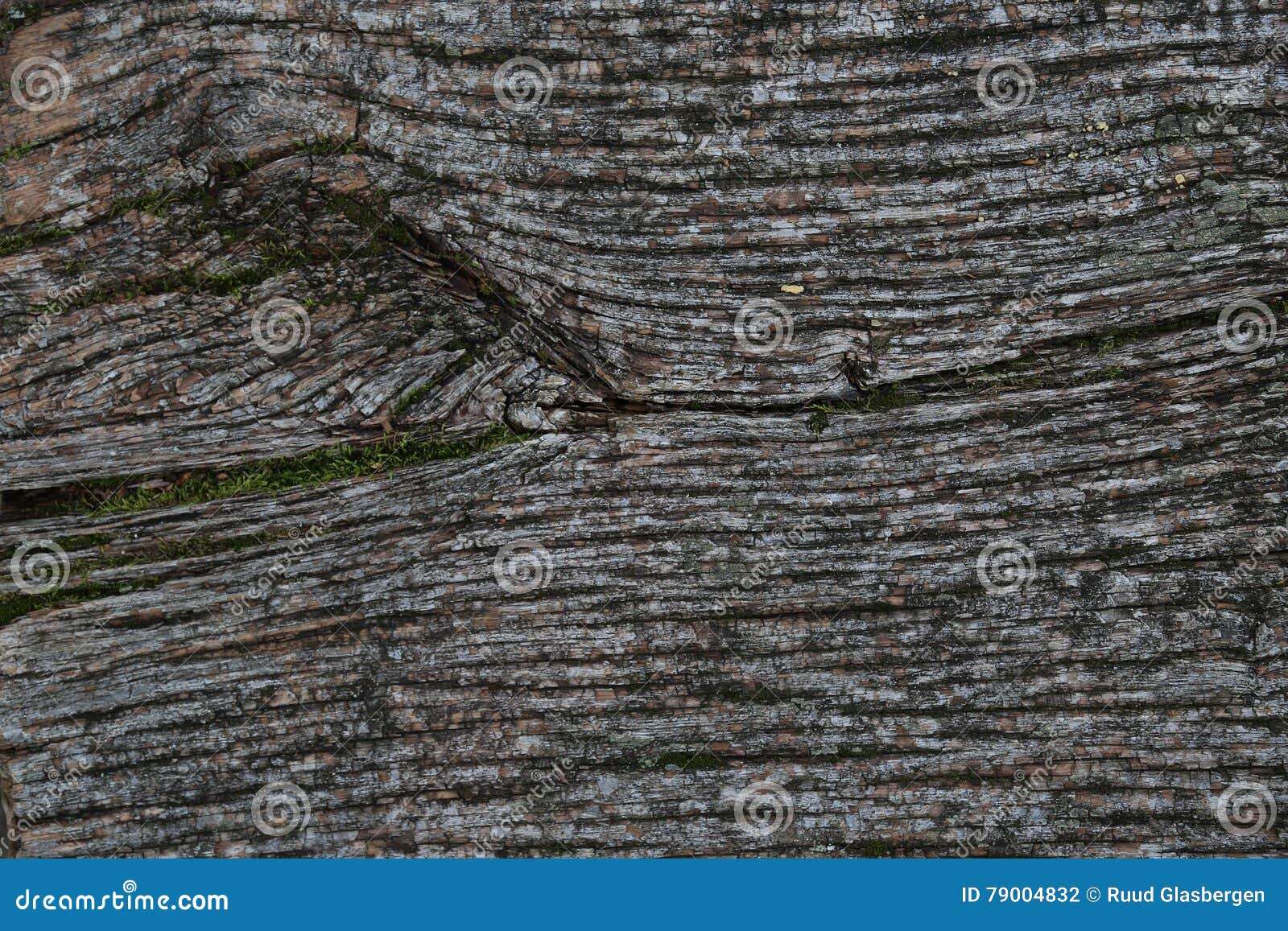 Old weathered wood stock photo. Image of wasted, grooved - 79004832
