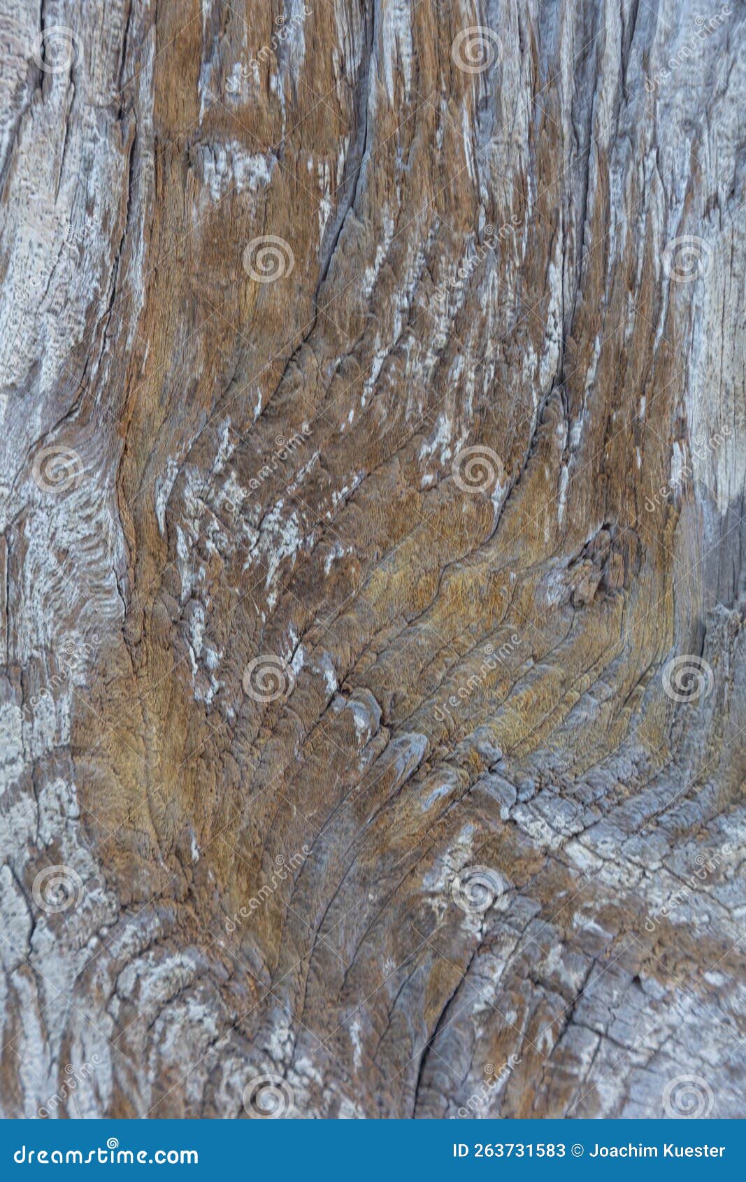 Old Weathered Wooden Beam with Distinctive Grain Stock Image - Image of ...
