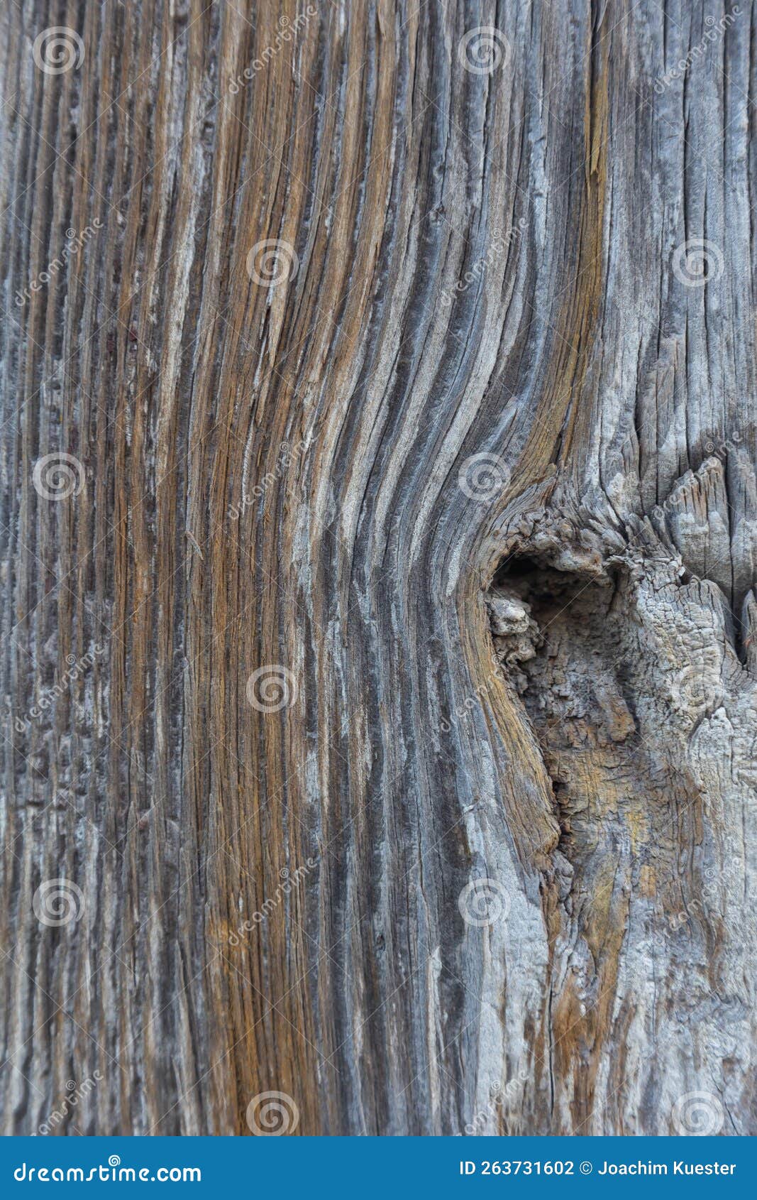 Old Weathered Wooden Beam with Distinctive Grain Stock Photo - Image of ...