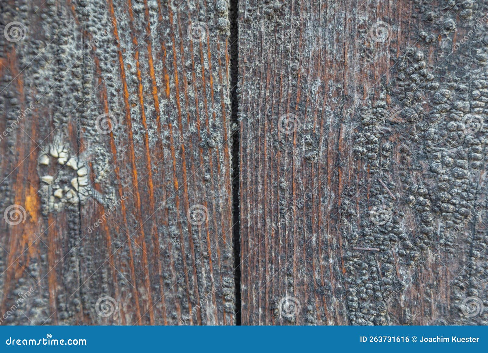 Old Weathered Wooden Beam with Distinctive Grain Stock Photo - Image of ...