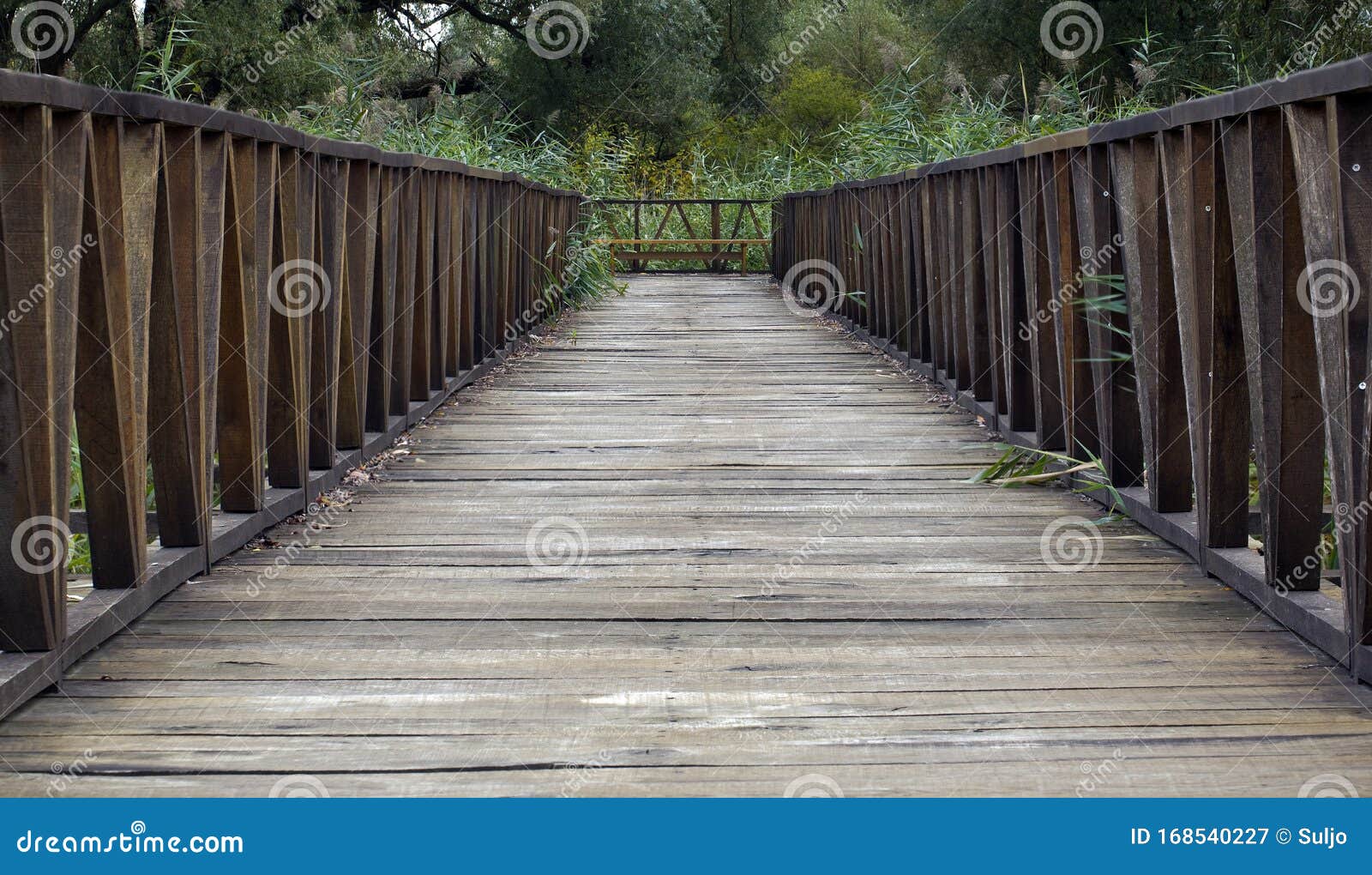 Bridge In Pathway Of A Trail Used For Trekking Inside Kinabalu National ...