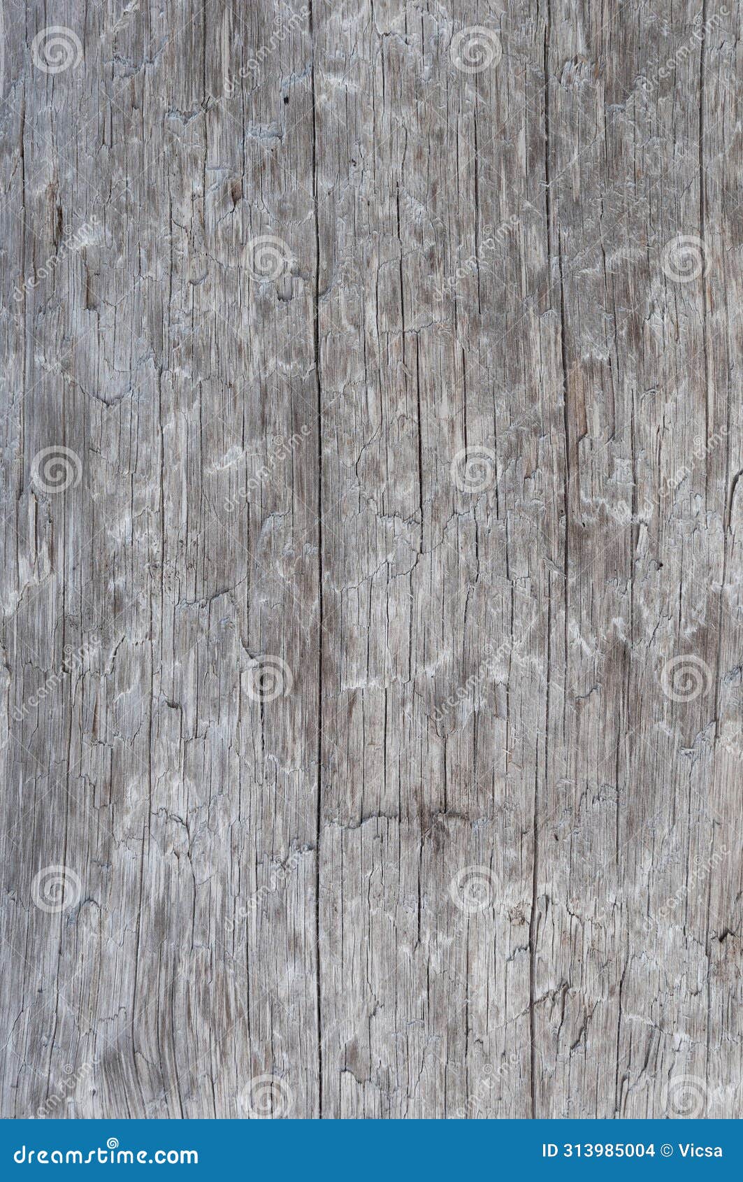 Old Weathered Wooden Log Texture Stock Photo - Image of fissure, timber ...