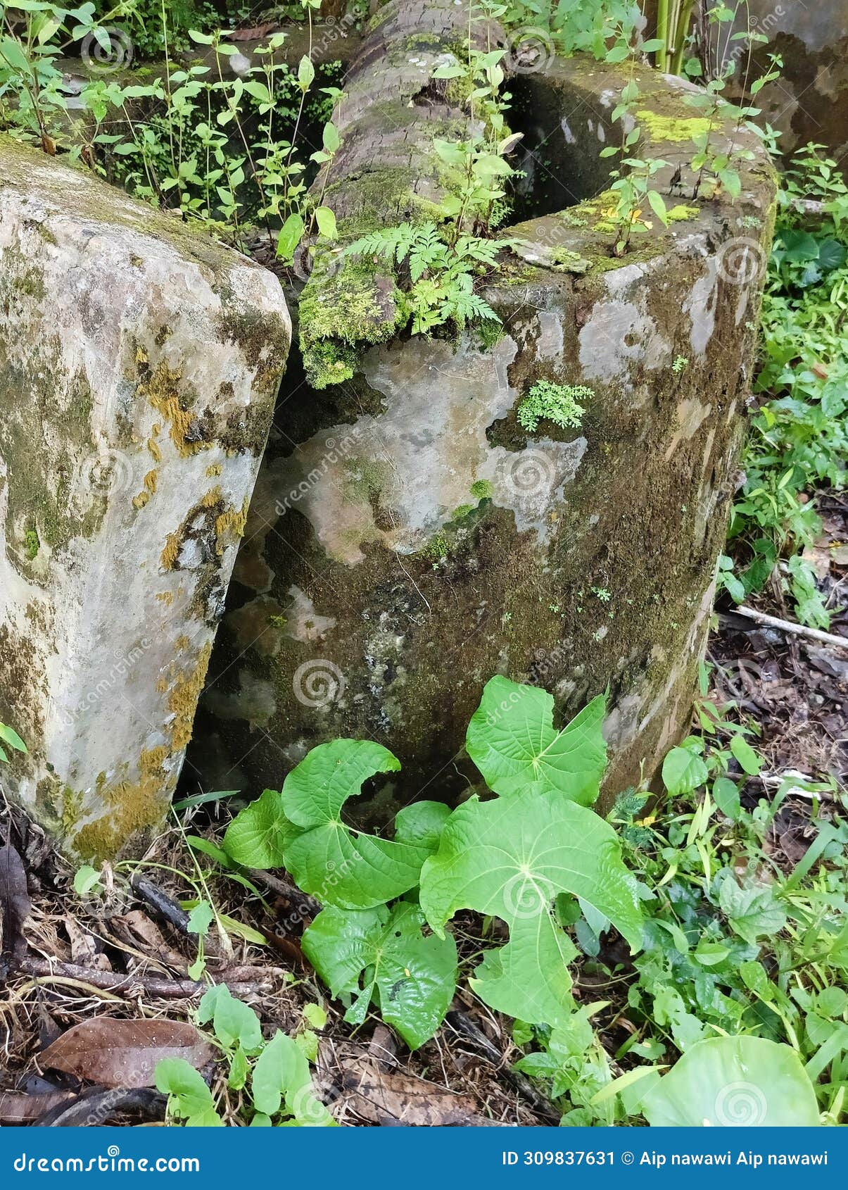 Old Well with Classic Architecture Stock Image - Image of classic ...