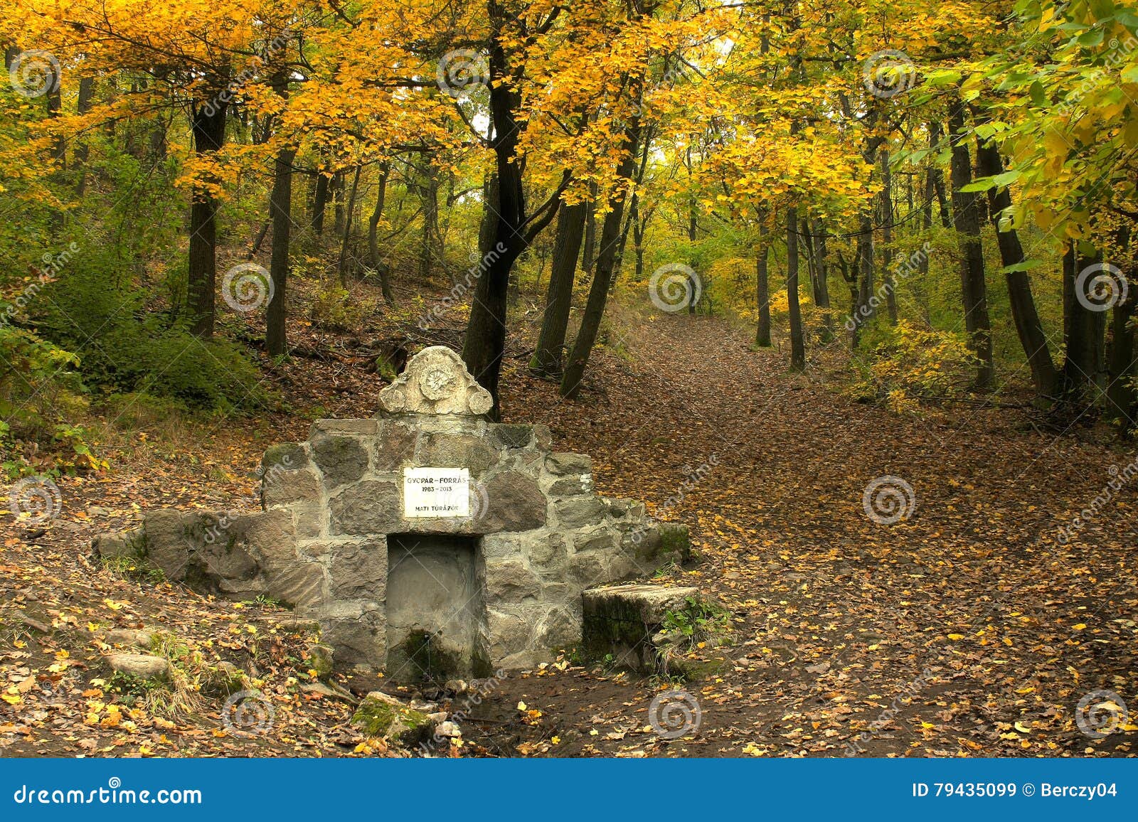 Old well in deep forest stock image. Image of fall, orange - 79435099