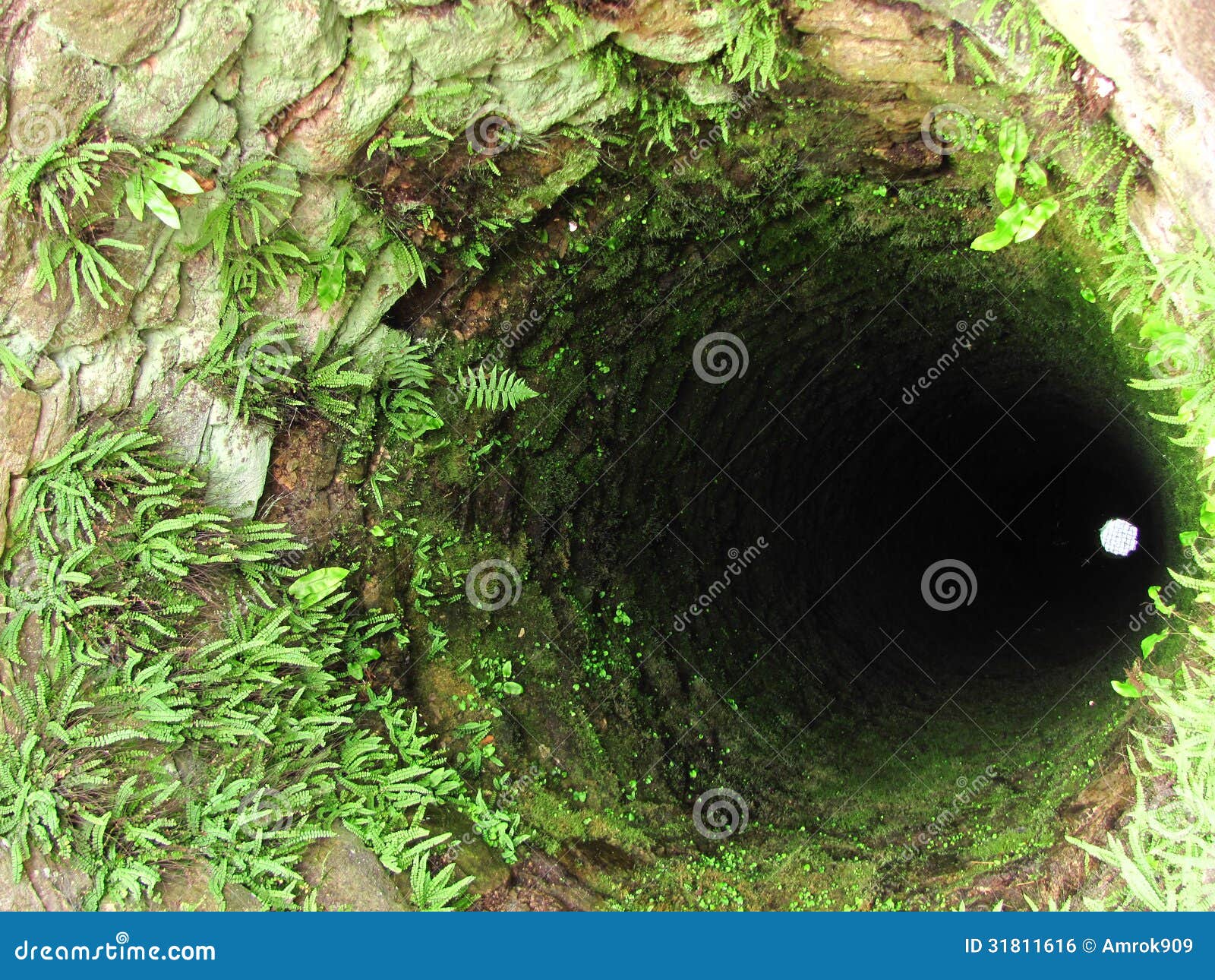 Old well stock photo. Image of ancient, black, green - 31811616