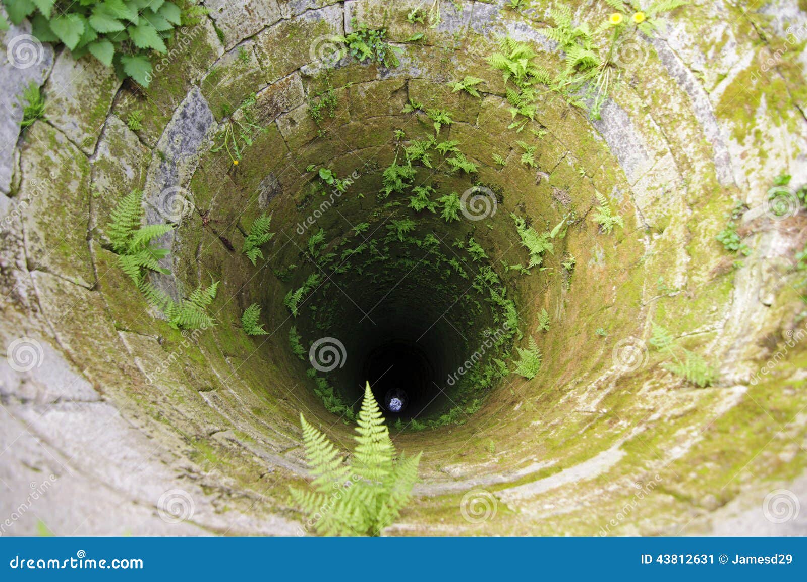 Old well stock image. Image of ancient, fern, castle - 43812631