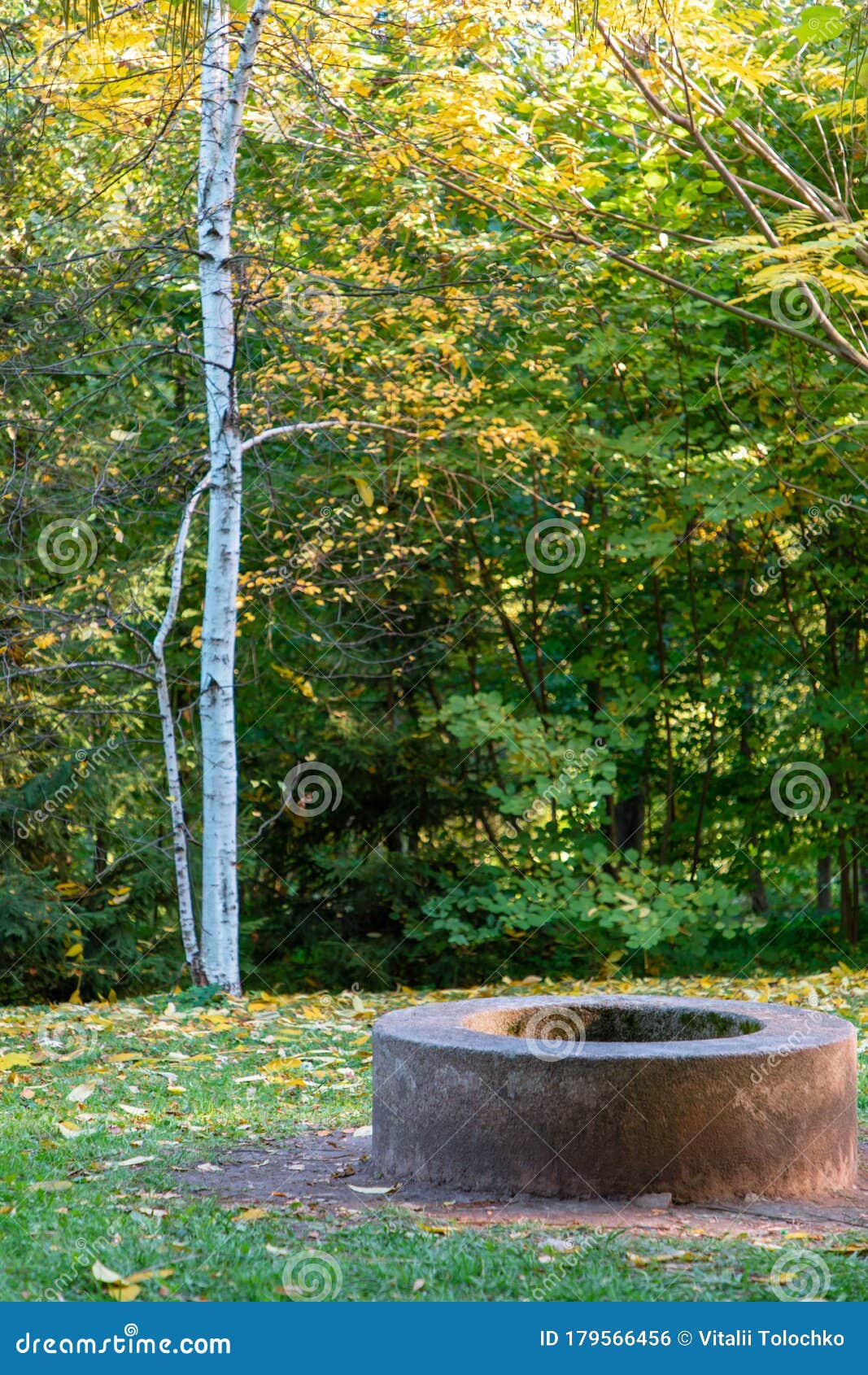 Well In The Forest Stock Photo | CartoonDealer.com #102808086