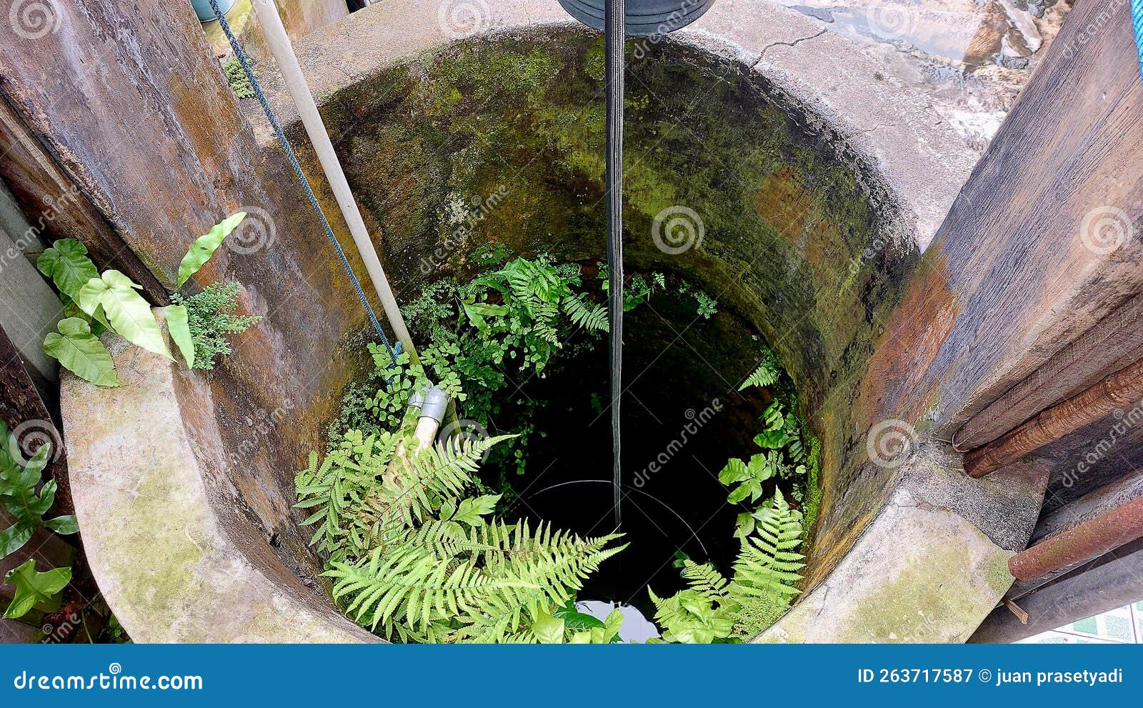 Old Well, Water Well, Water and Trees Stock Image - Image of bridge ...