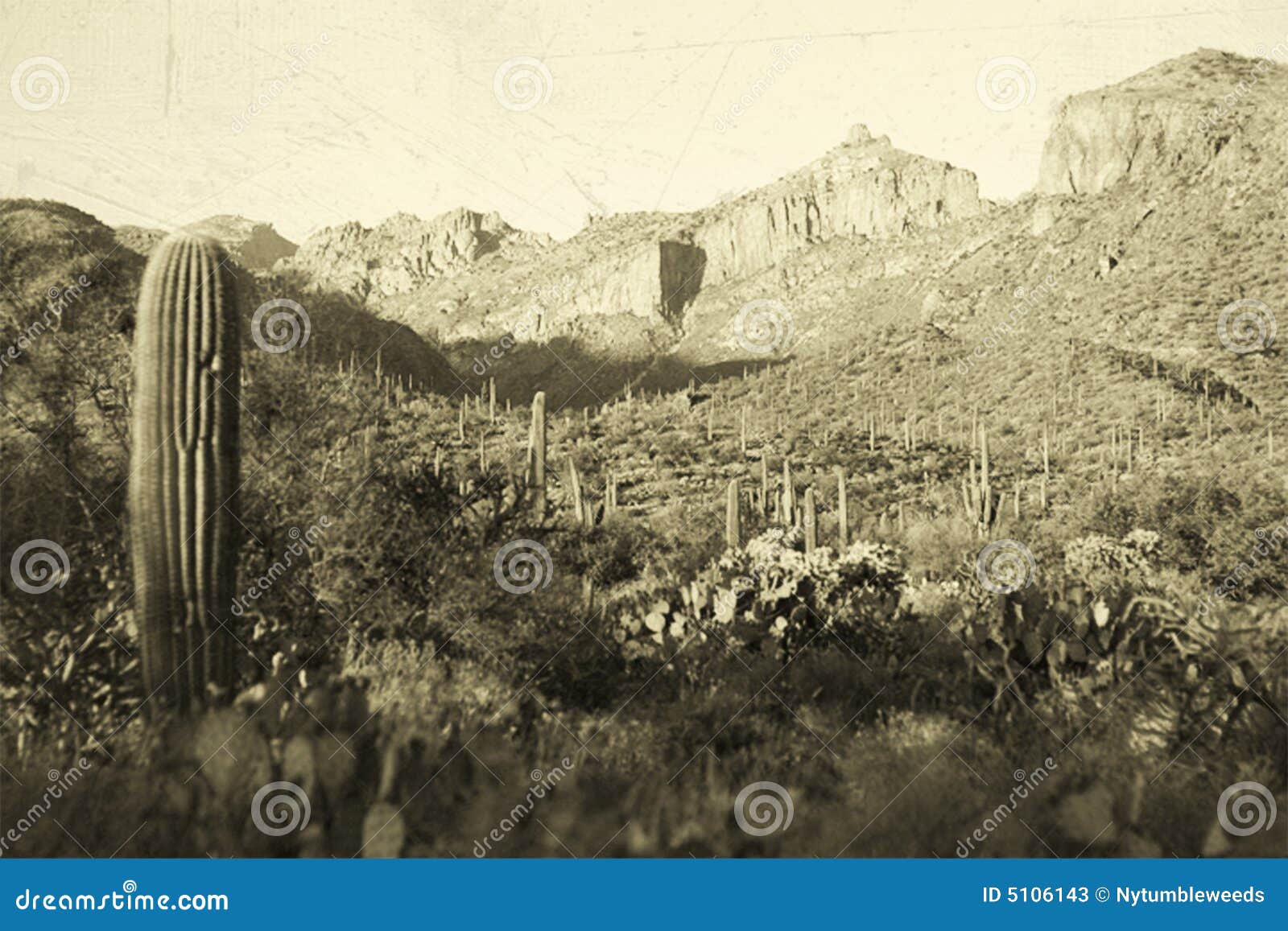 Old west landscape stock image. Image of mexico, arizona - 5106143