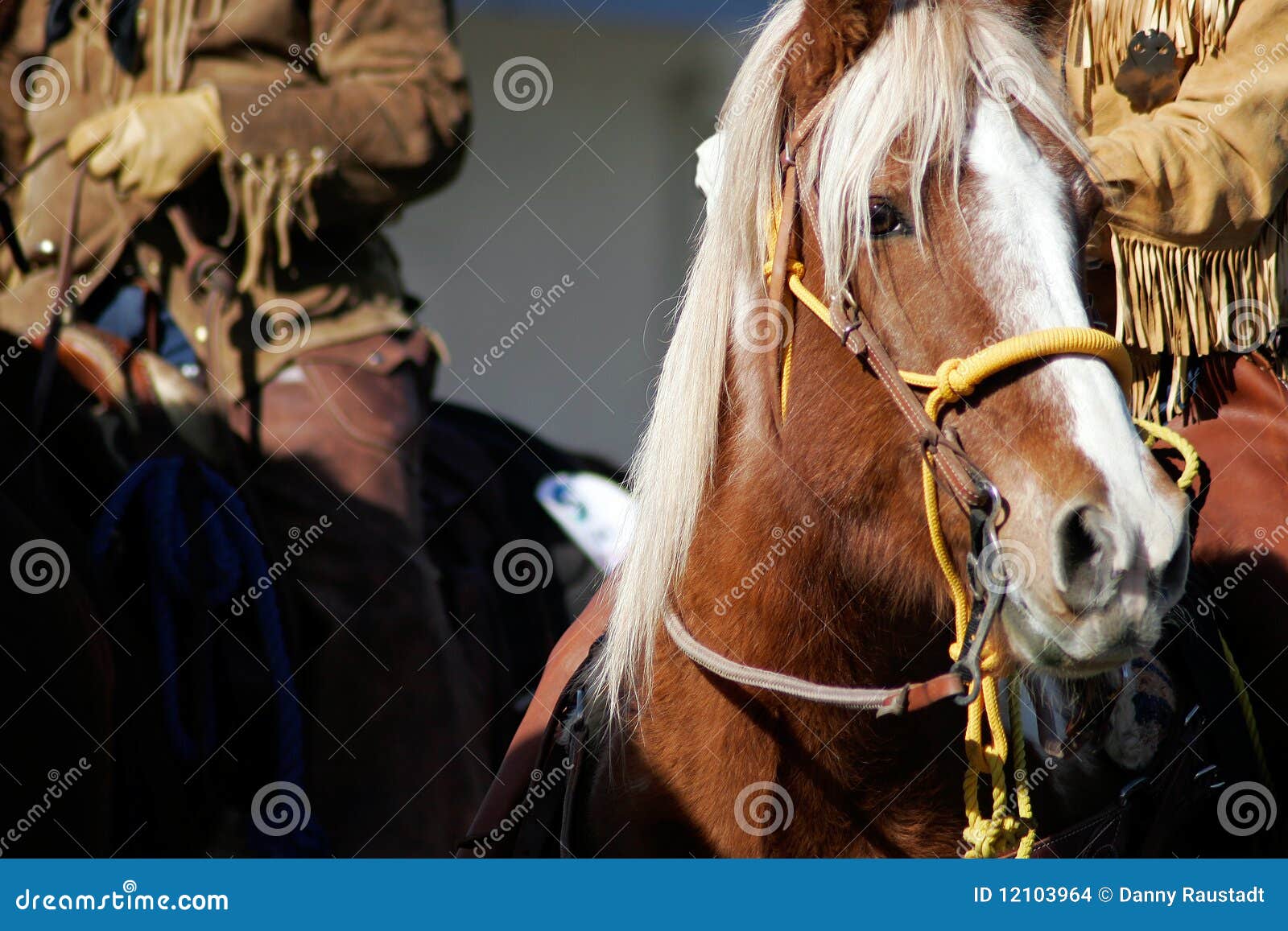 Old West Mountain Men and Horse Stock Photo - Image of pony, head: 12103964