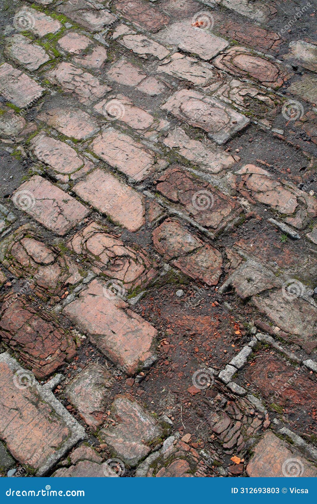 Old Wet Brick Pavement Background Stock Image - Image of floor, cement ...