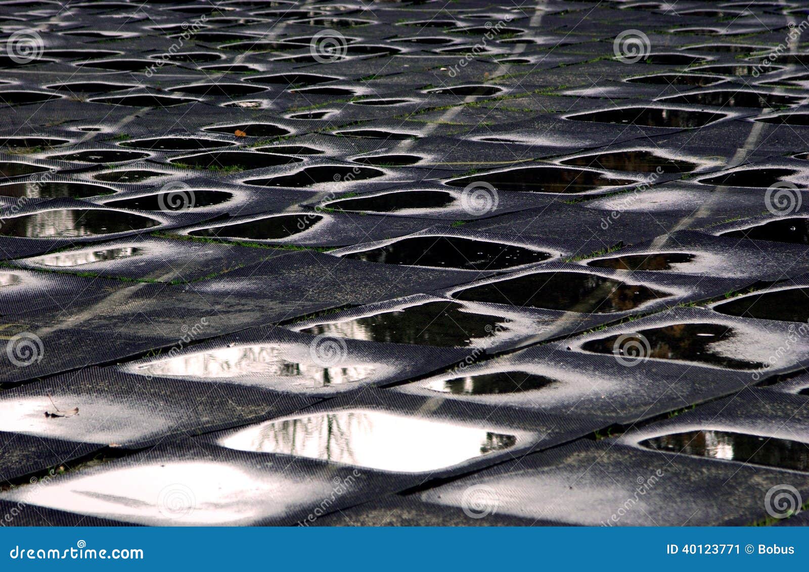 Old wet racetrack stock image. Image of outdoor, nature - 40123771