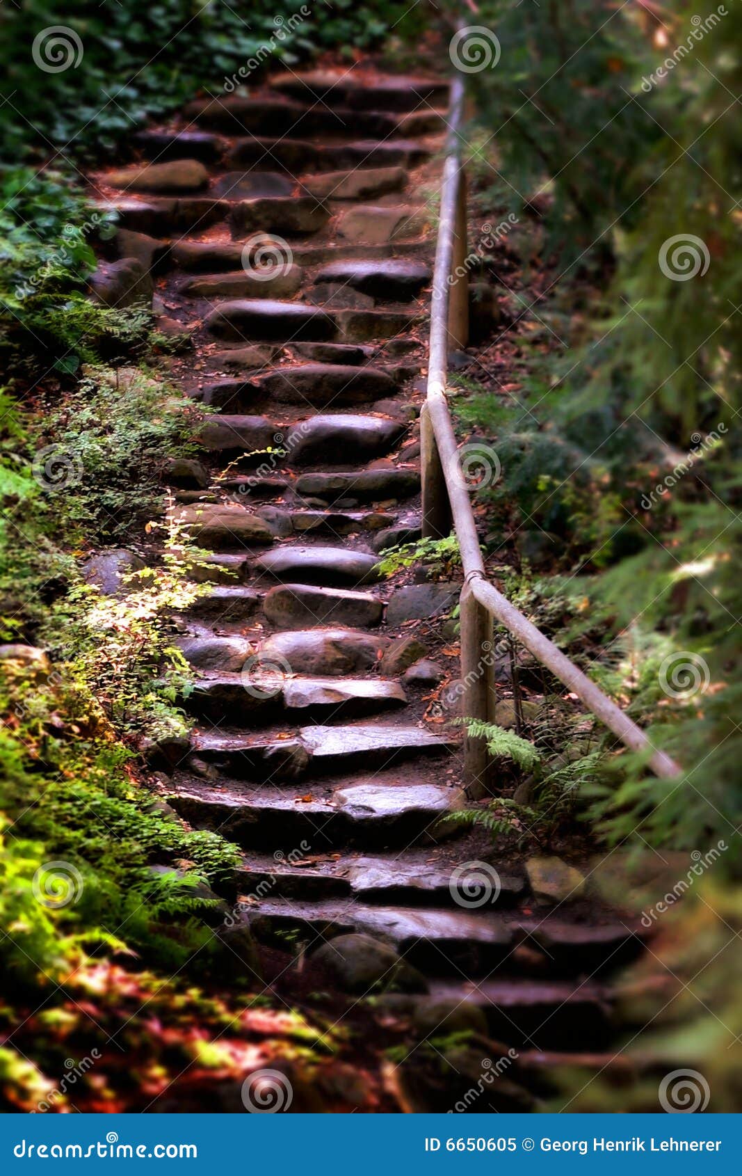 Old Wet Stone Steps stock image. Image of rock, path, safety - 6650605