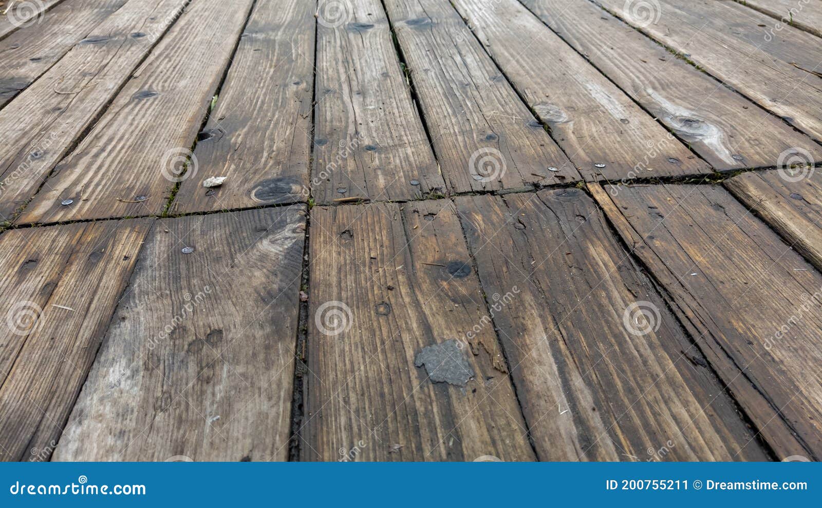 Old wet wood texture stock image. Image of hardwood - 200755211