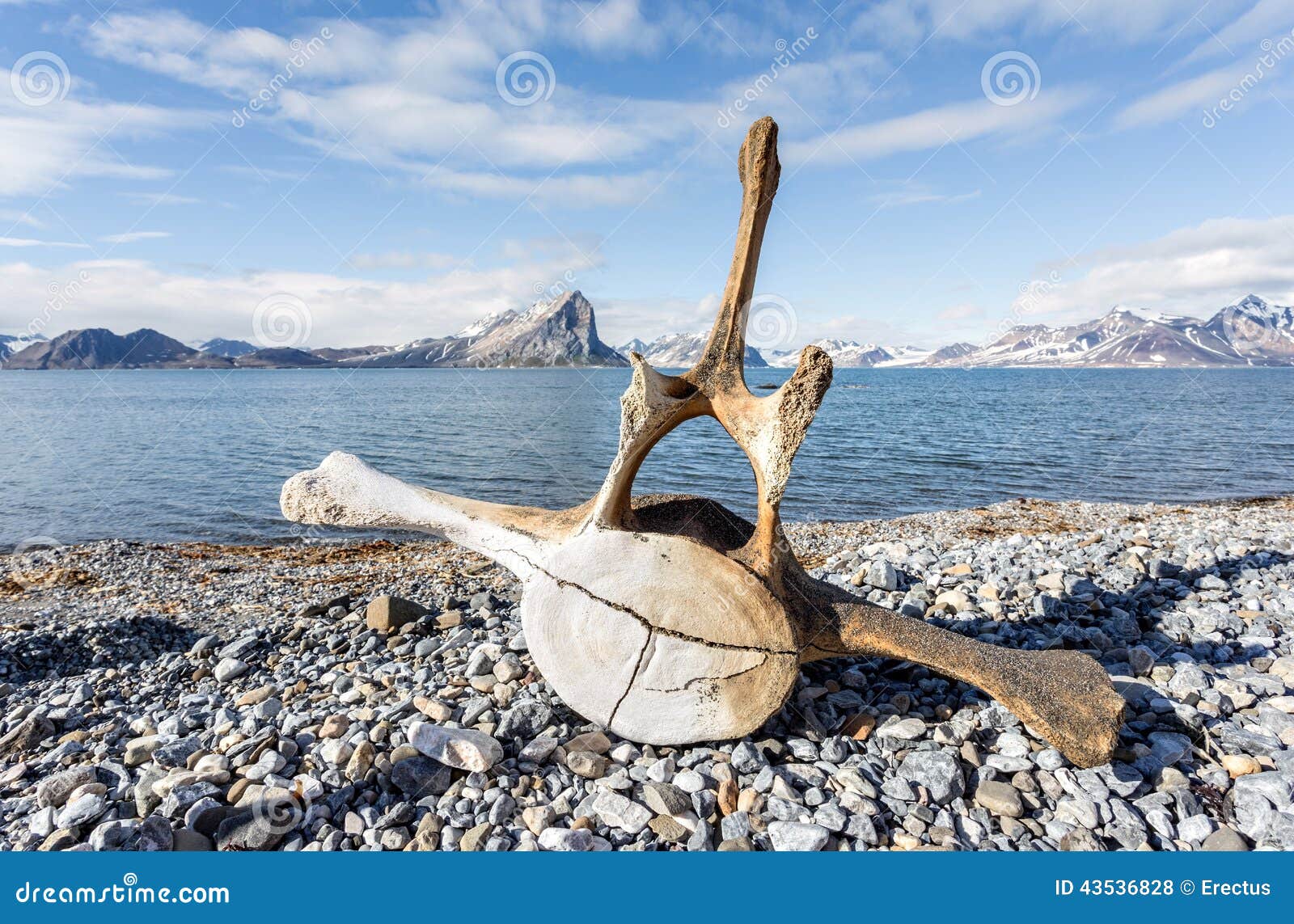Whale Bone Arch On The Arctic Ocean At Apex Stock Photography ...