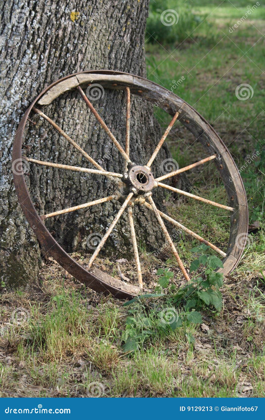 Old Wheel stock image. Image of wellness, holiday, remember - 9129213