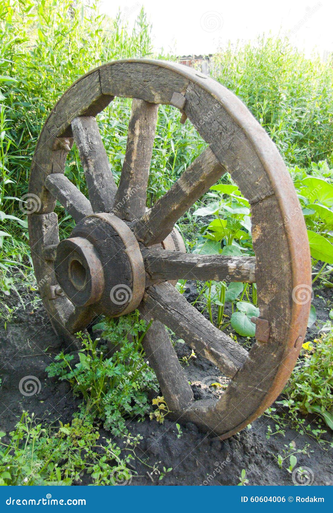 Old wheel stock photo. Image of antique, single, obsolete - 60604006