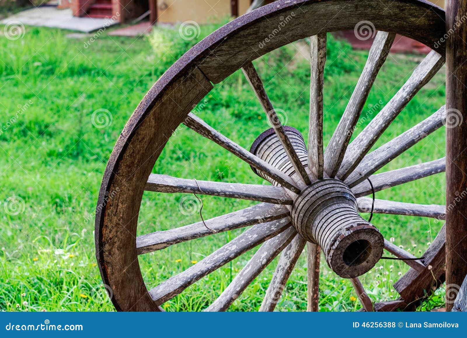 Old wheel stock photo. Image of standing, wheel, grass - 46256388