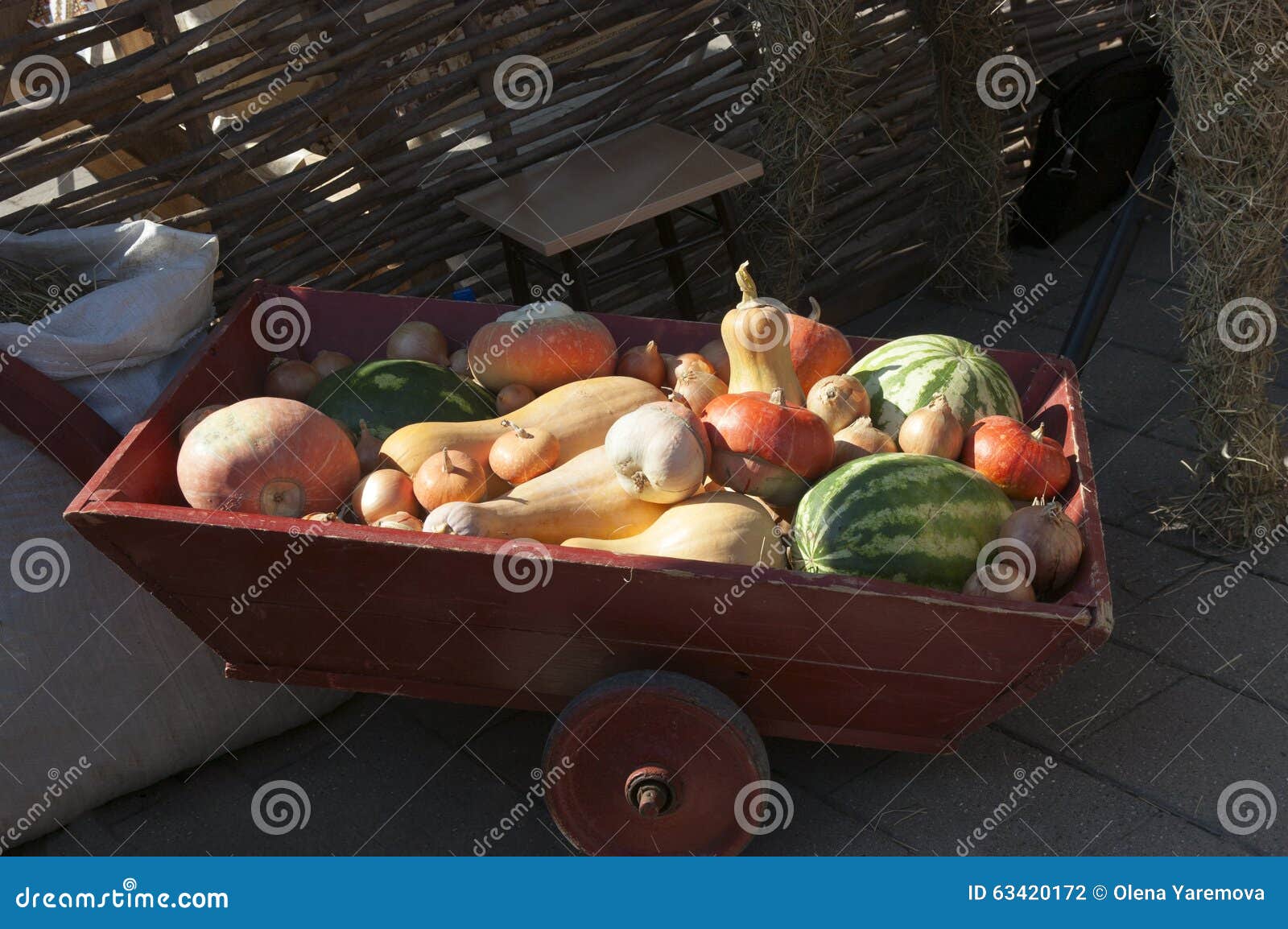 Old Wheelbarrow Filled with Fresh Vegetables Stock Photo - Image of ...