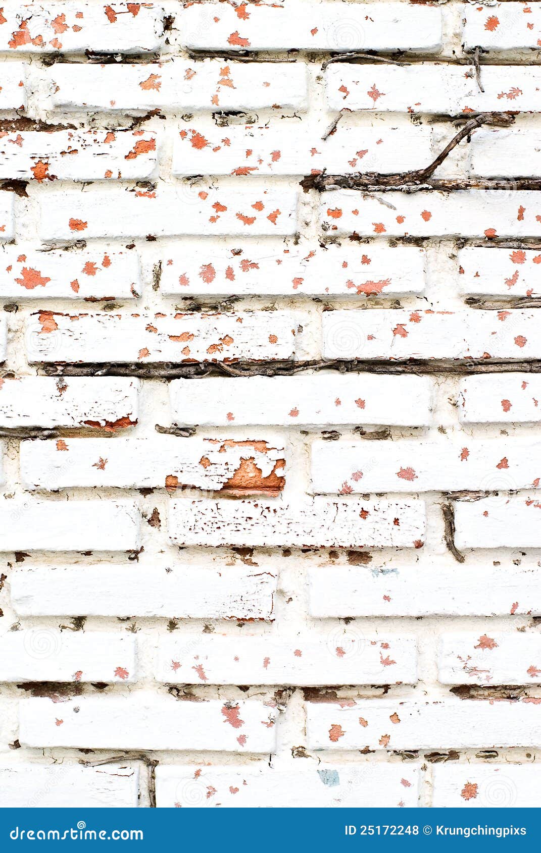 Old white brick wall stock photo. Image of home, cement - 25172248