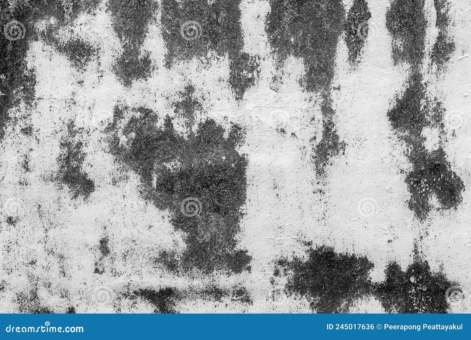 Old White Concrete Wall Texture Stock Photo - Image of dirty, wall ...