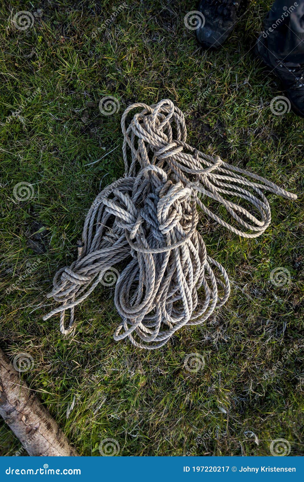 A Old White Rope in the Grass Stock Image - Image of cord, turf: 197220217