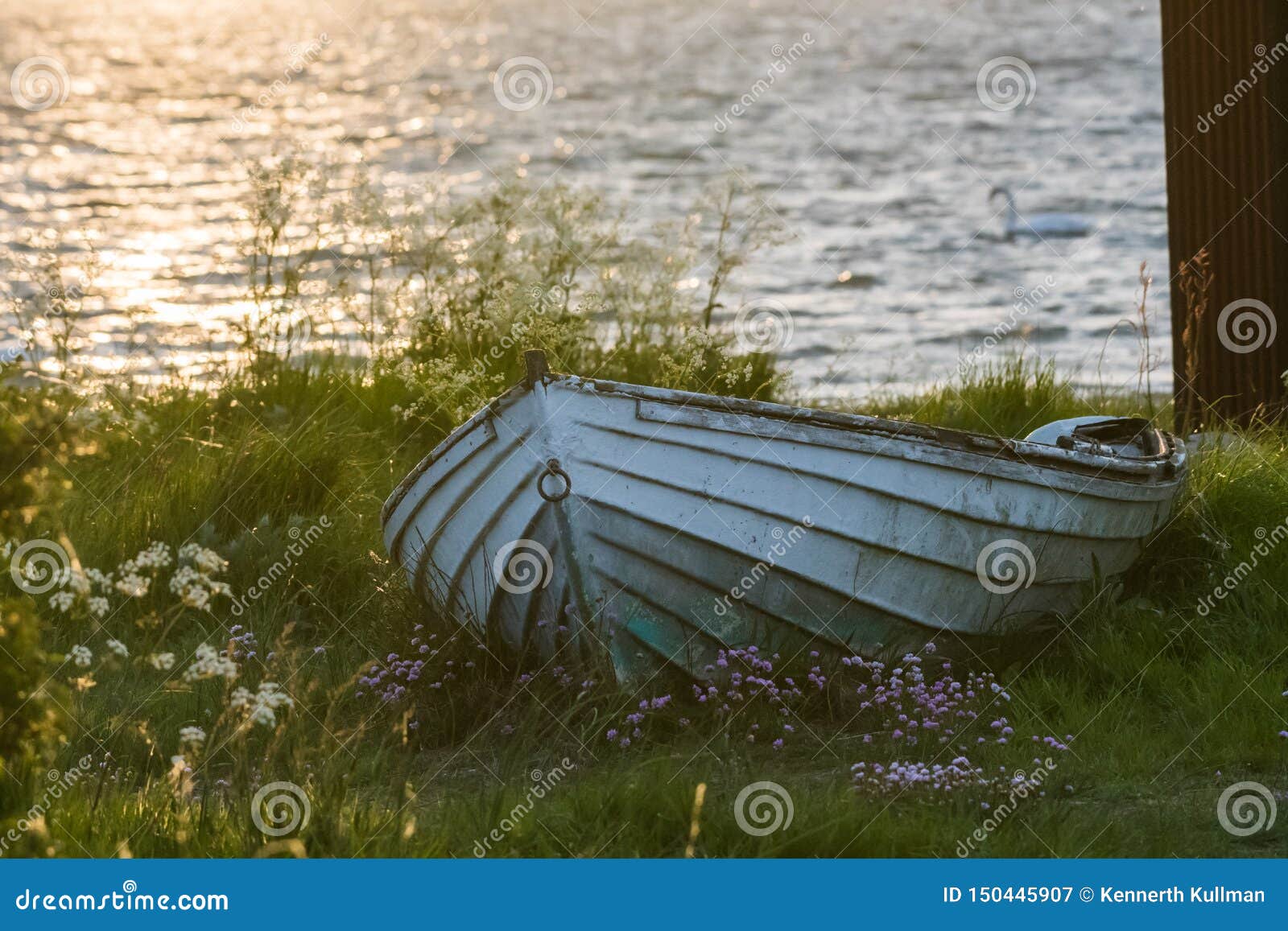 Old White Rowing Boat on Land by Sunset Stock Image - Image of front ...