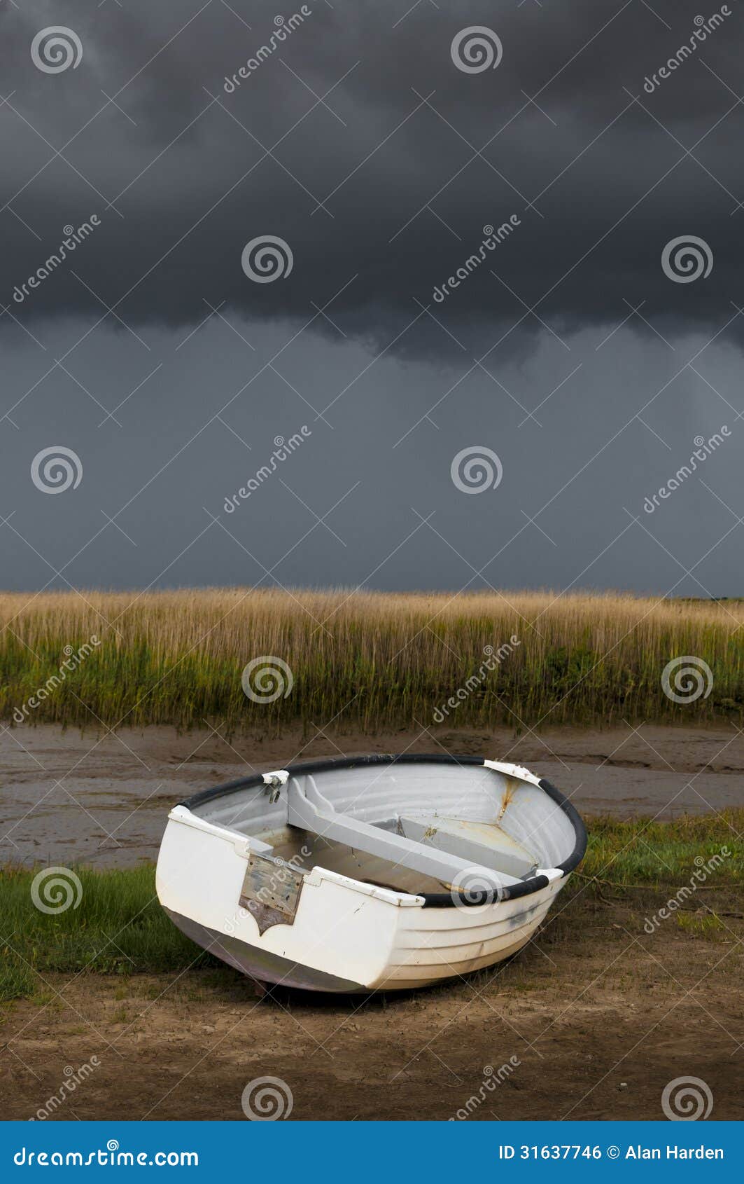 Old white rowing boat stock photo. Image of field, single - 31637746