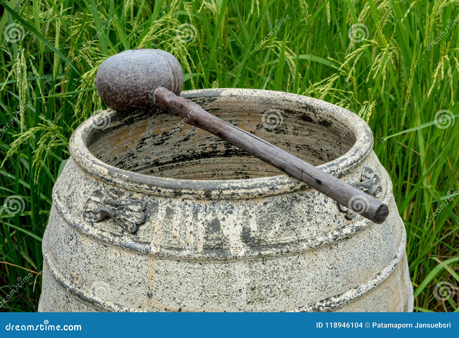 Old White water jar stock photo. Image of green, paddy - 118946104